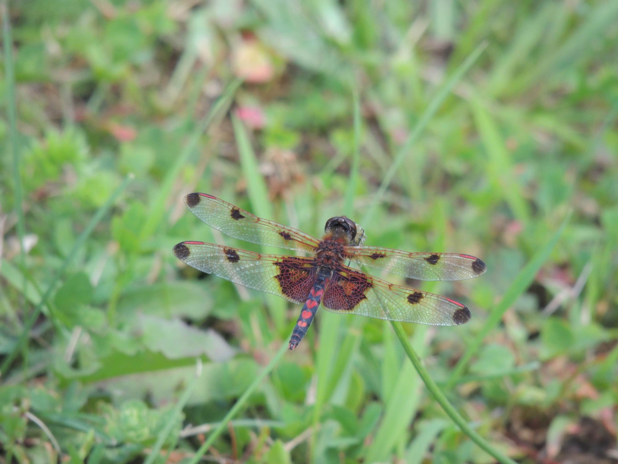 Third Machias Lake - Machias River Cooridor | The Dyrt
