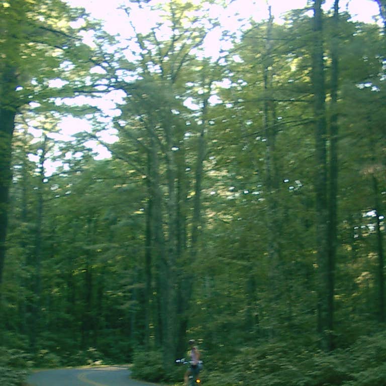 Council Grounds State Park Camping | The Dyrt