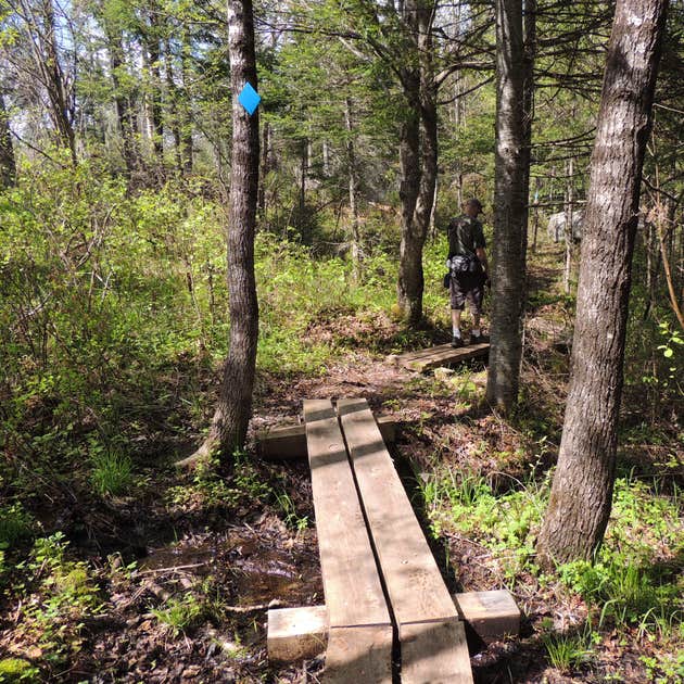 Brighton State Park Camping | The Dyrt