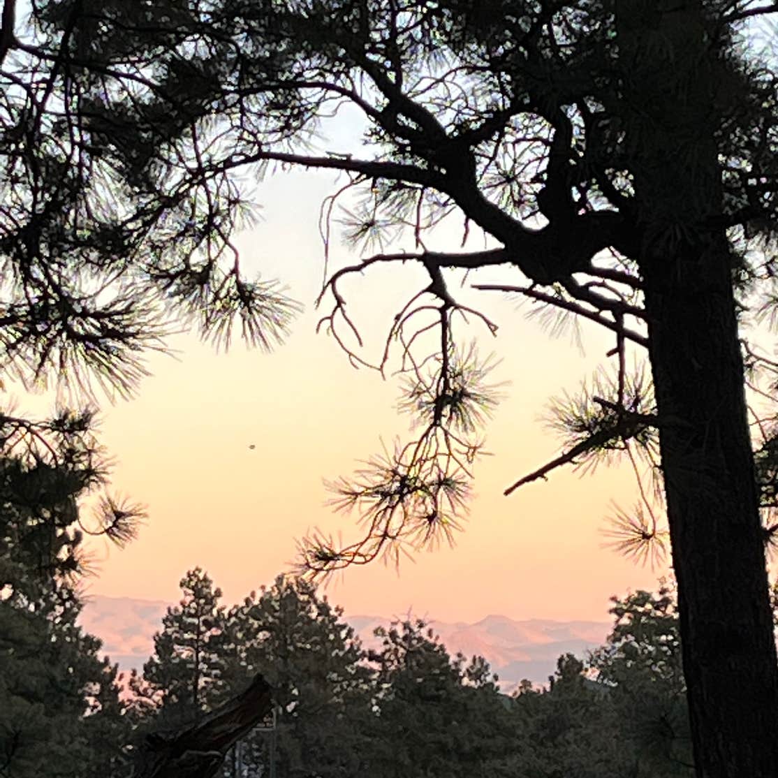 Hualapai Mountain Park Camping | Kingman, AZ