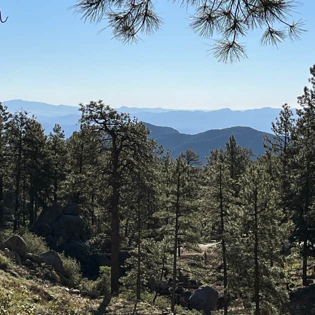 Hualapai Mountain Park Camping | Kingman, AZ