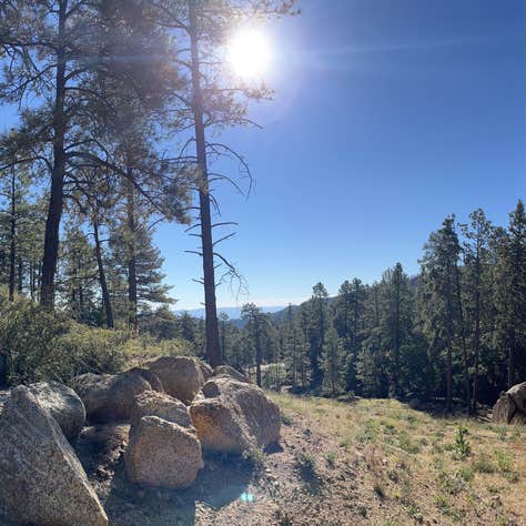 Hualapai Mountain Park Camping | Kingman, AZ