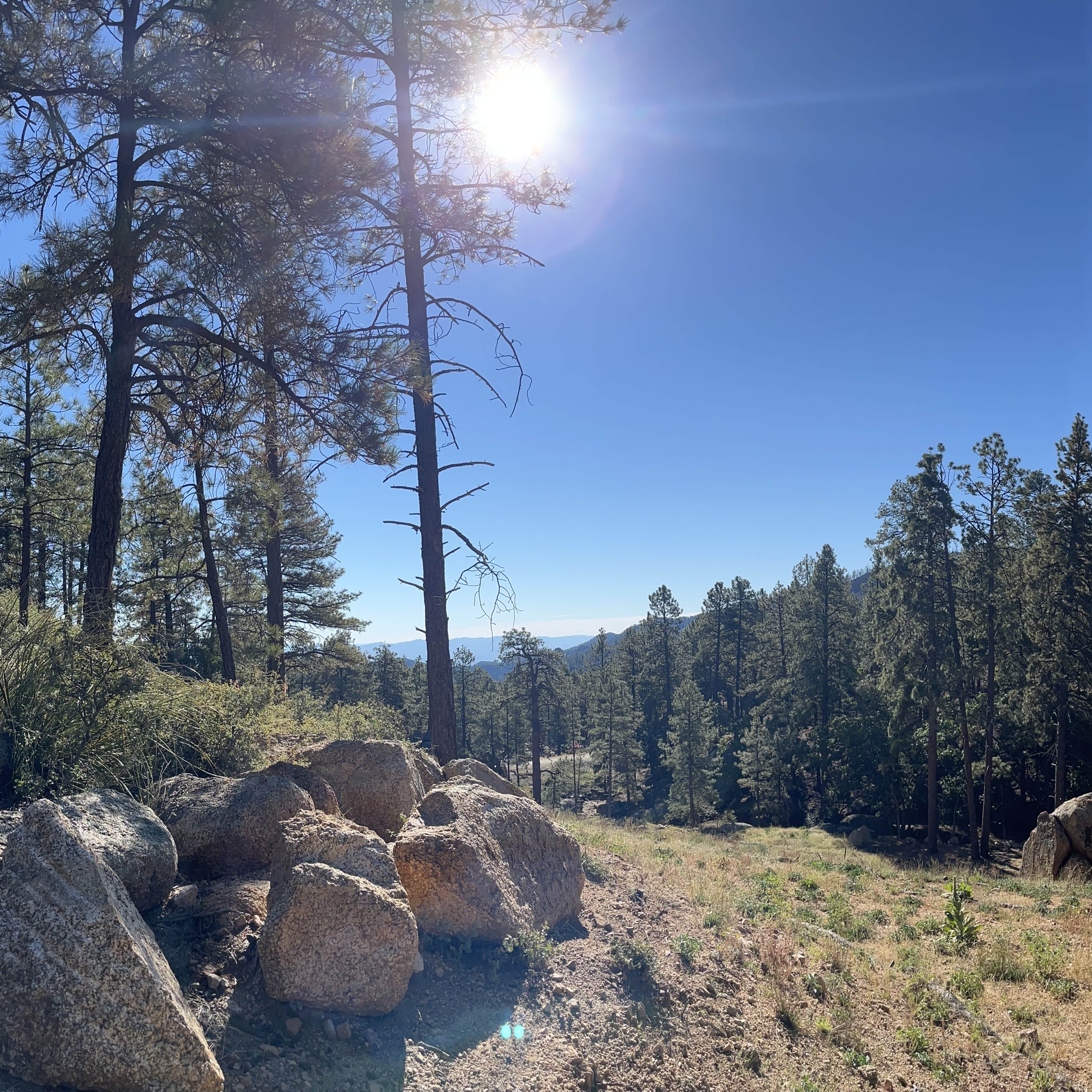 Hualapai Mountain Park Camping | Kingman, Arizona