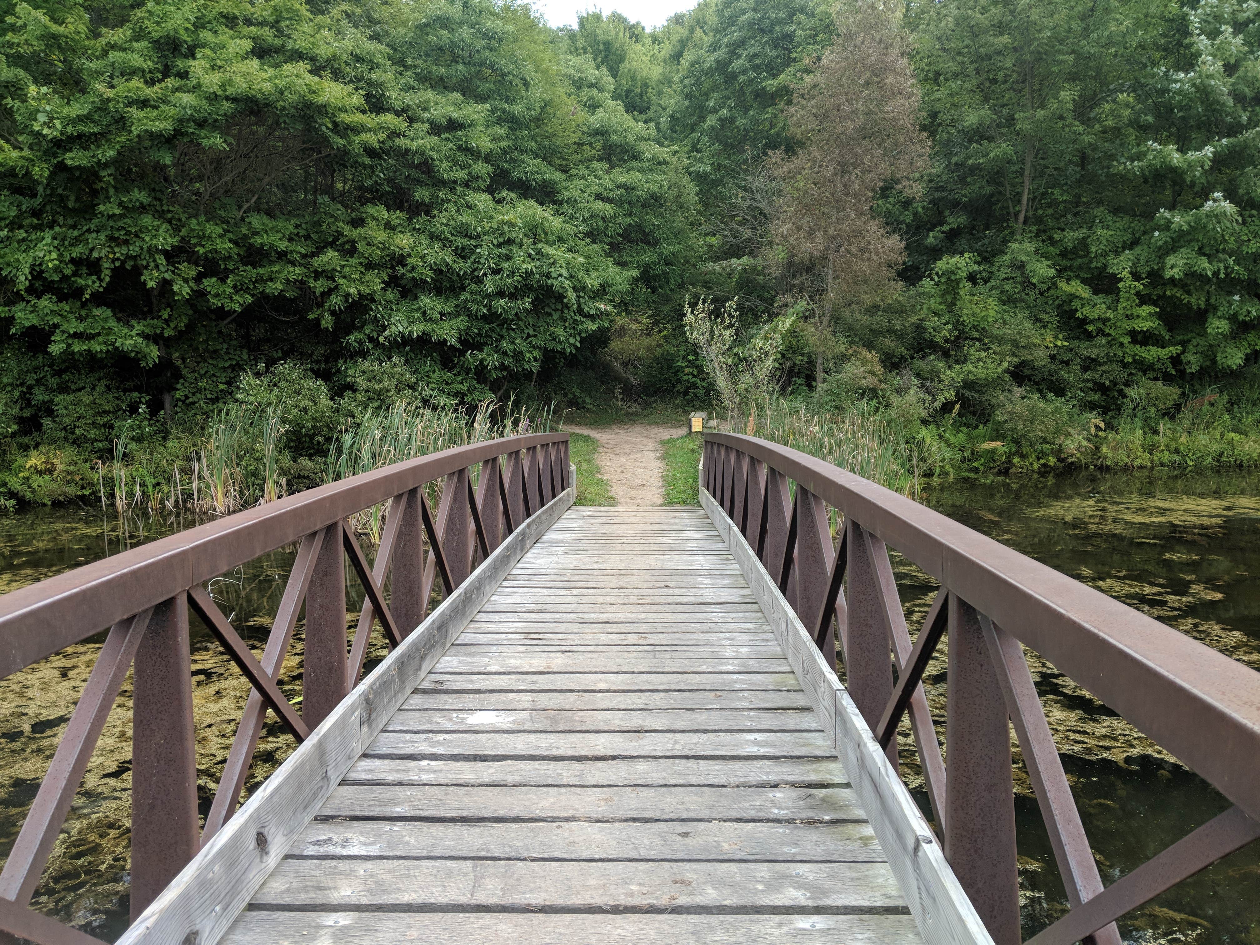 Sleepy Hollow State Park Campground | Ovid, Michigan