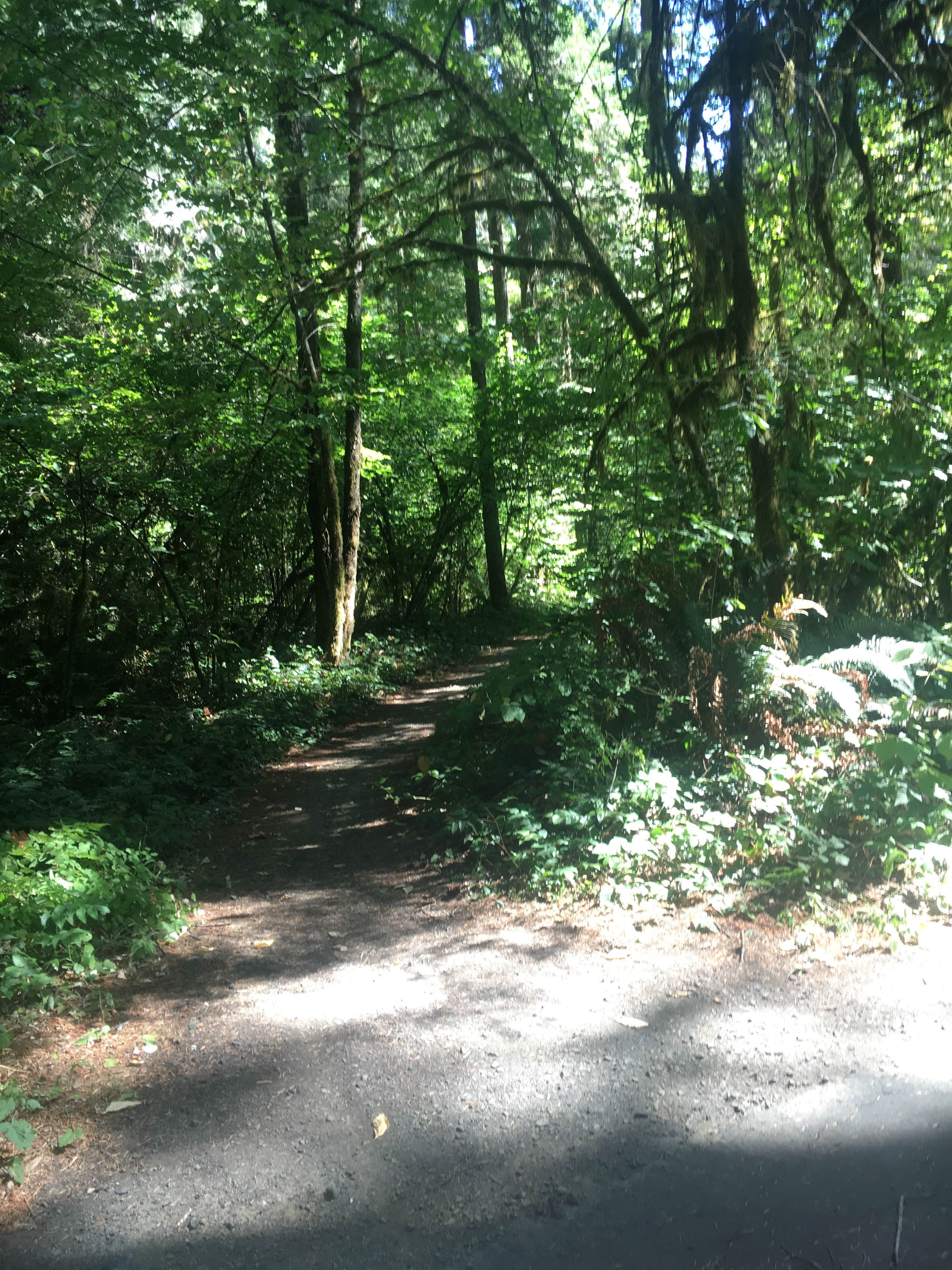 Susan Creek Campground | Roseburg, OR