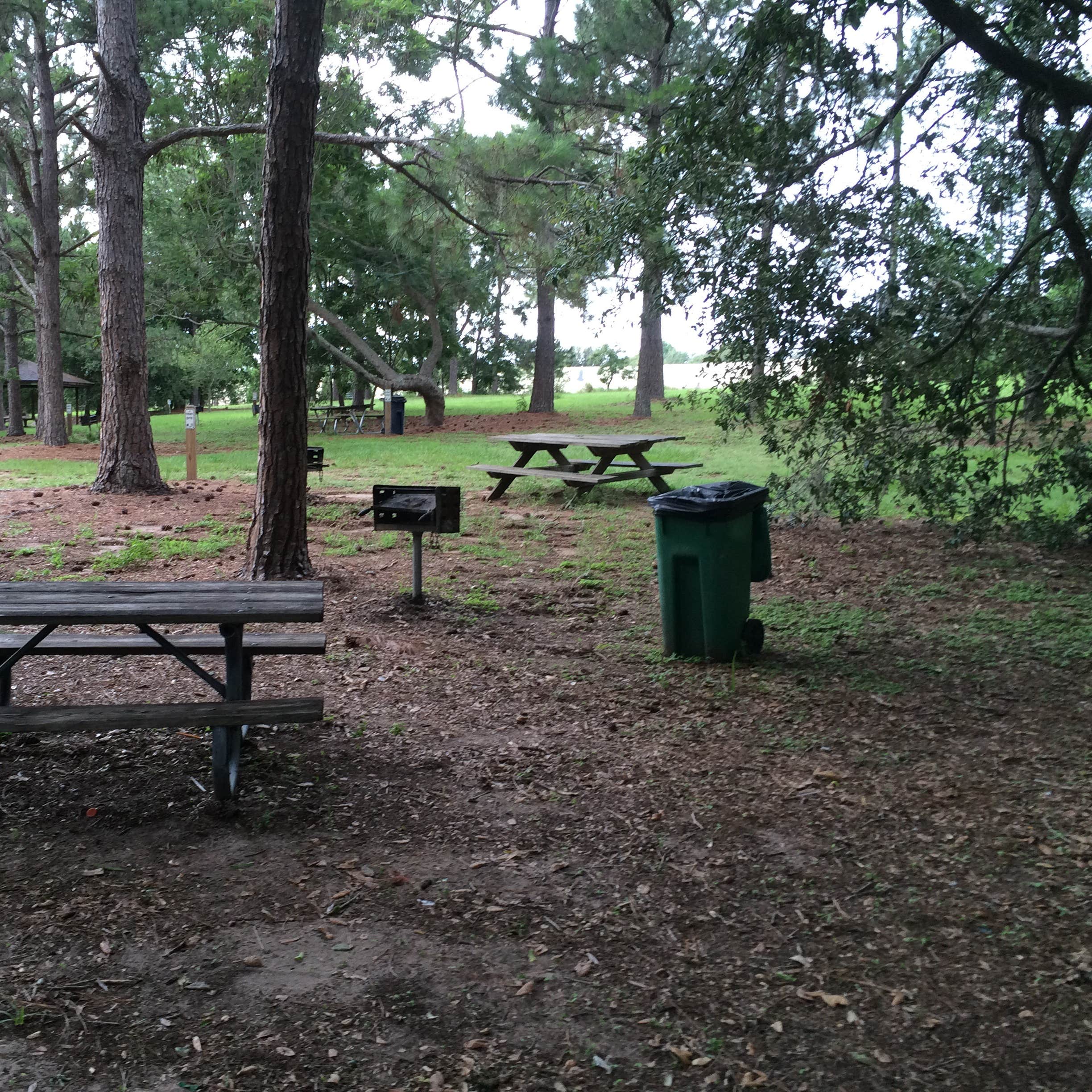 Bill Frederick Park at Turkey Lake Camping | The Dyrt
