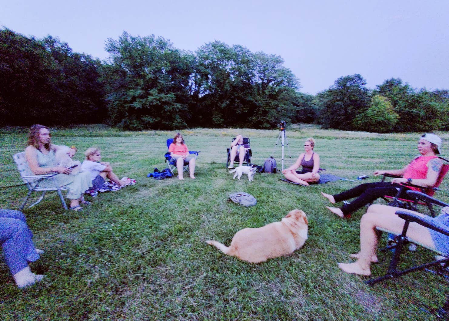 Tent Sites at Milo Farm Camping | The Dyrt