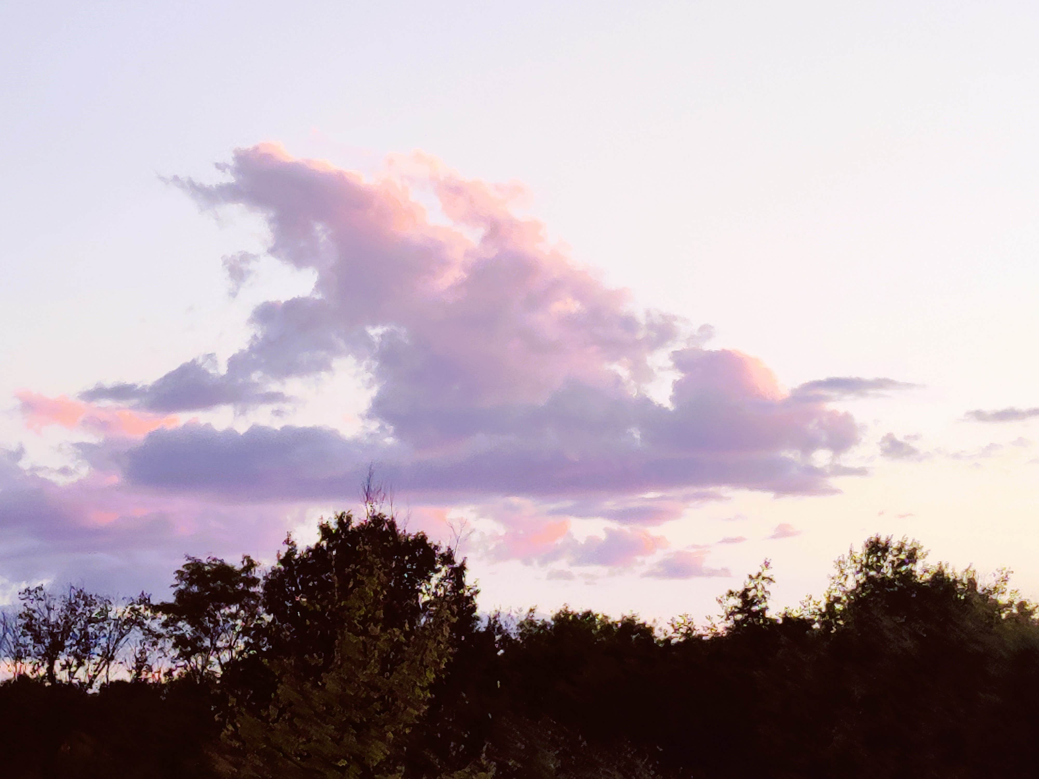 Tent Sites at Milo Farm Camping | Buckner, MO