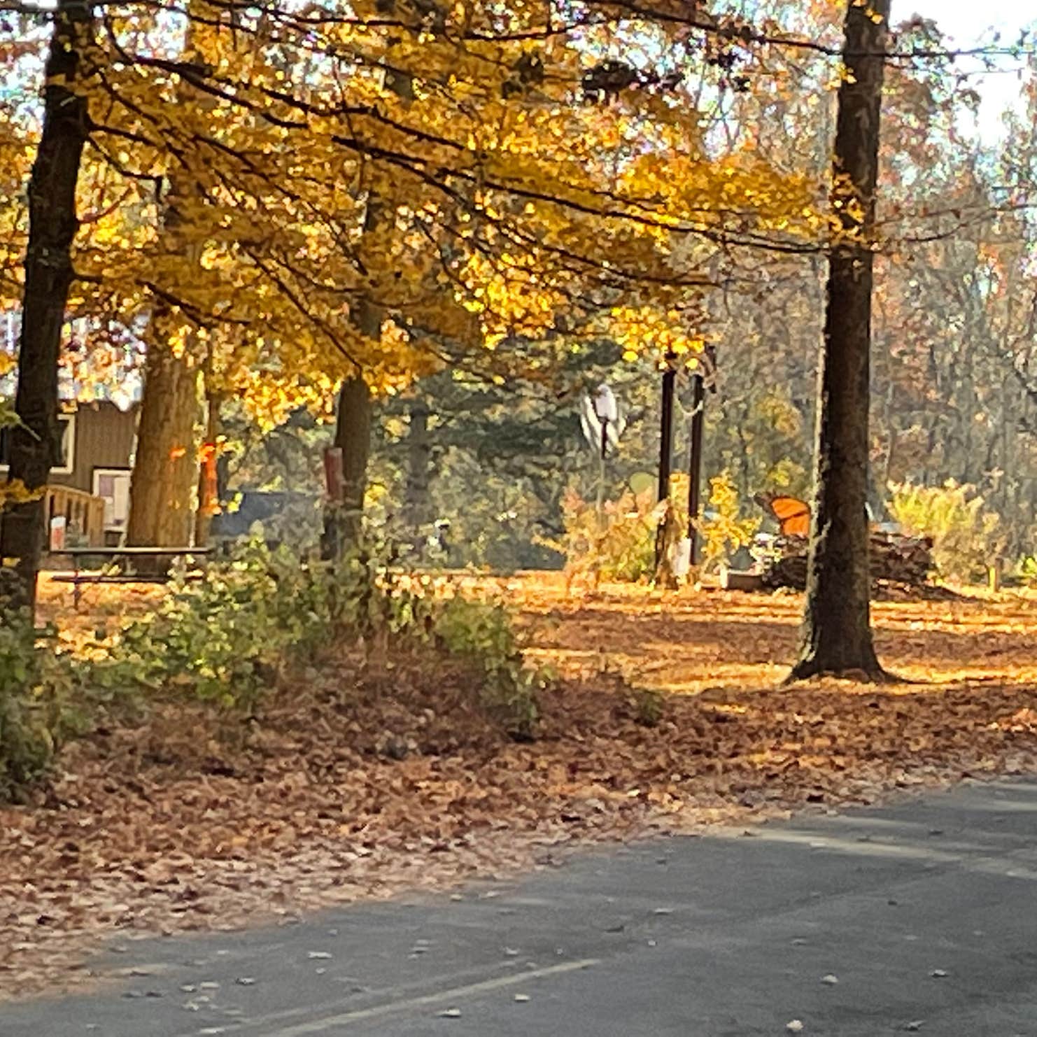 Cowan Lake State Park Campground | Wilmington, OH