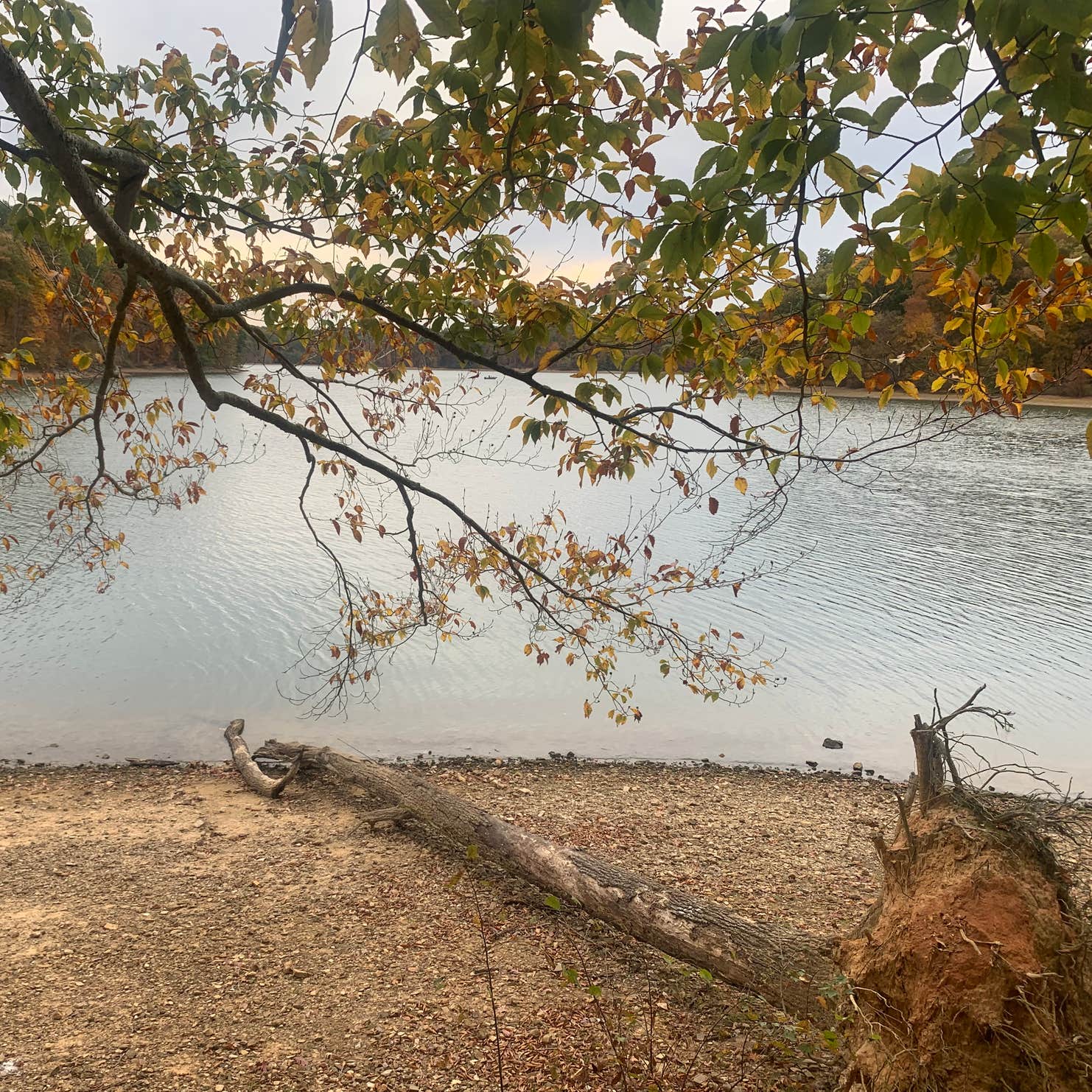 Sugar Bay Campground | Land Between the Lakes National Recreation Area ...