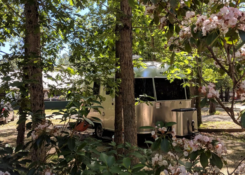 Indian Rock RV Resort and Campground Camping | The Dyrt