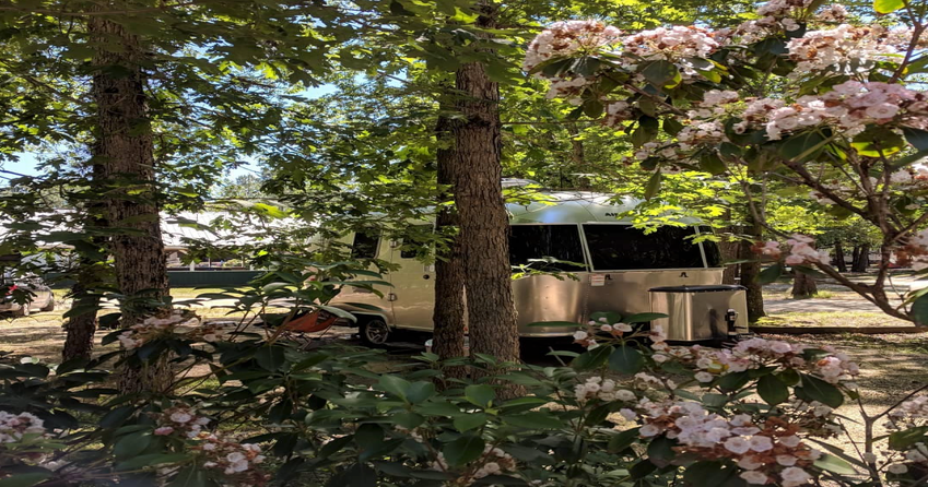 Indian Rock RV Resort and Campground | Cream Ridge, New Jersey