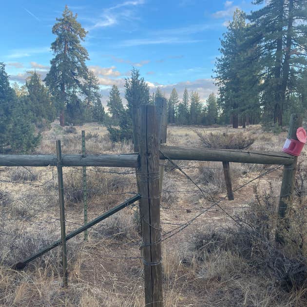 CA-139 Pull Off Area Camping | Susanville, California