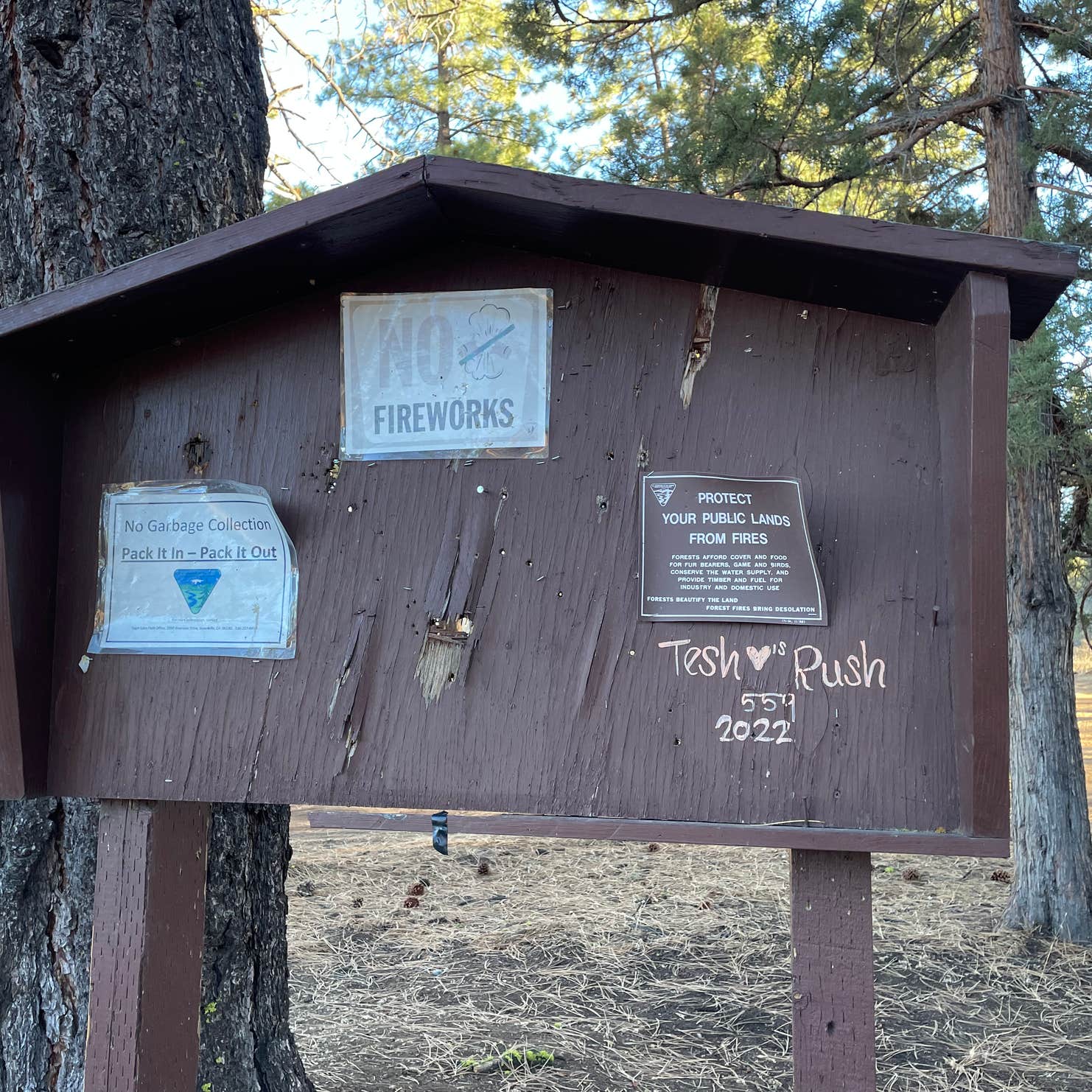 CA-139 Pull Off Area Camping | Susanville, CA