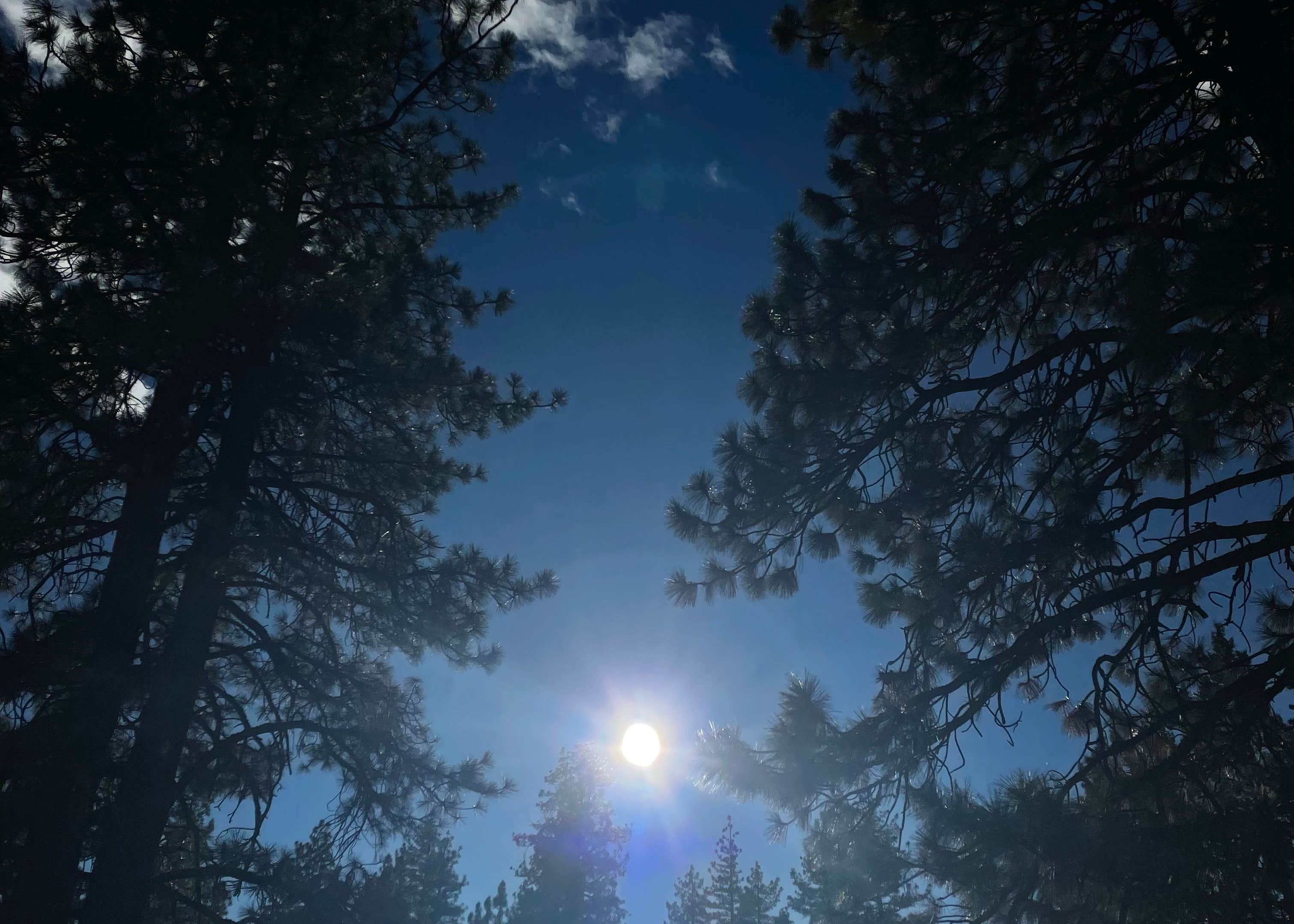 CA-139 Pull Off Area Camping | The Dyrt