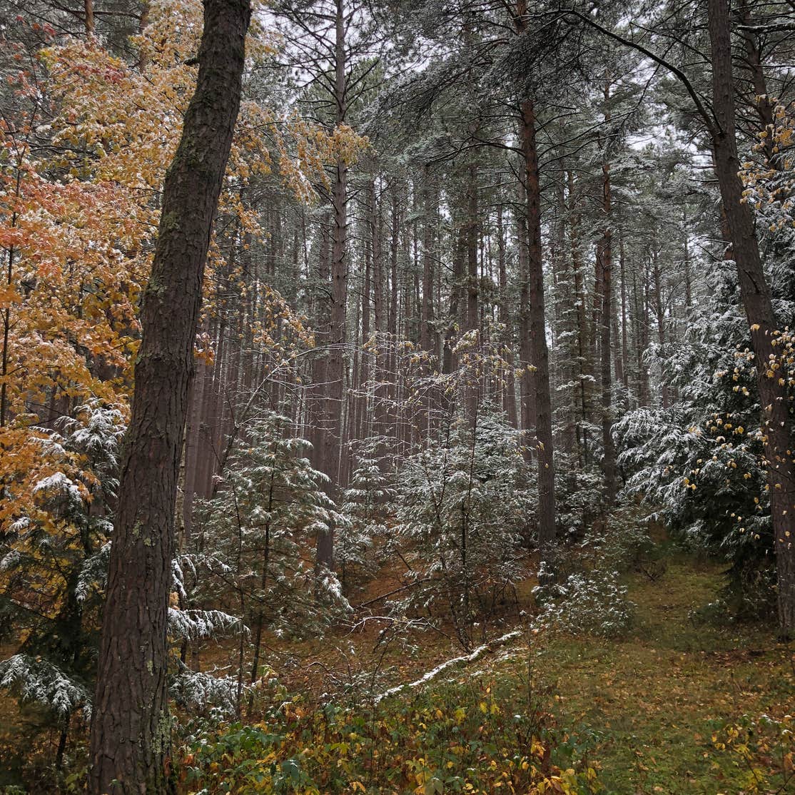 West Star Lake Campground — Northern Highland State Forest | Sayner ...