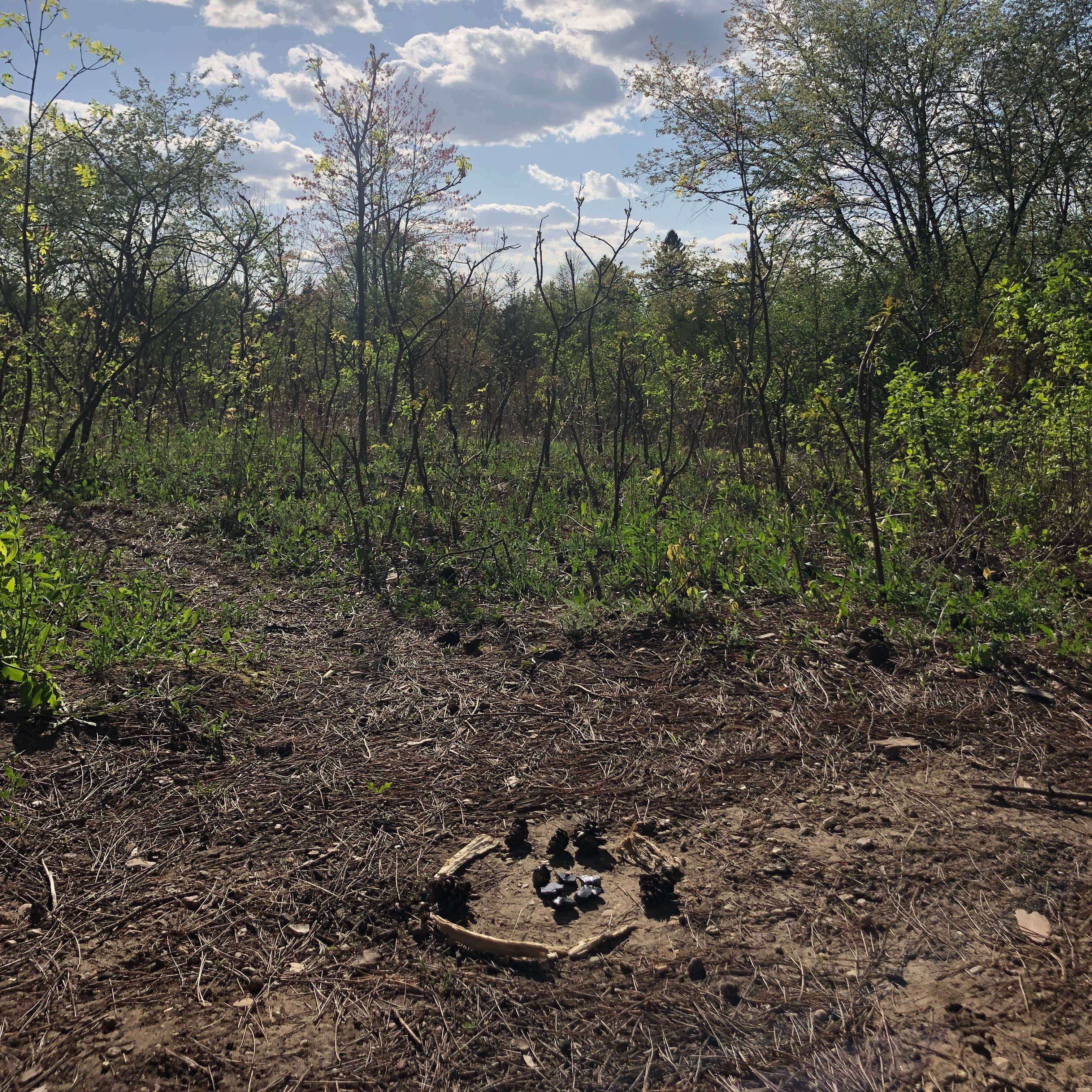Mauthe Lake Campground — Kettle Moraine State Forest-Northern Unit ...