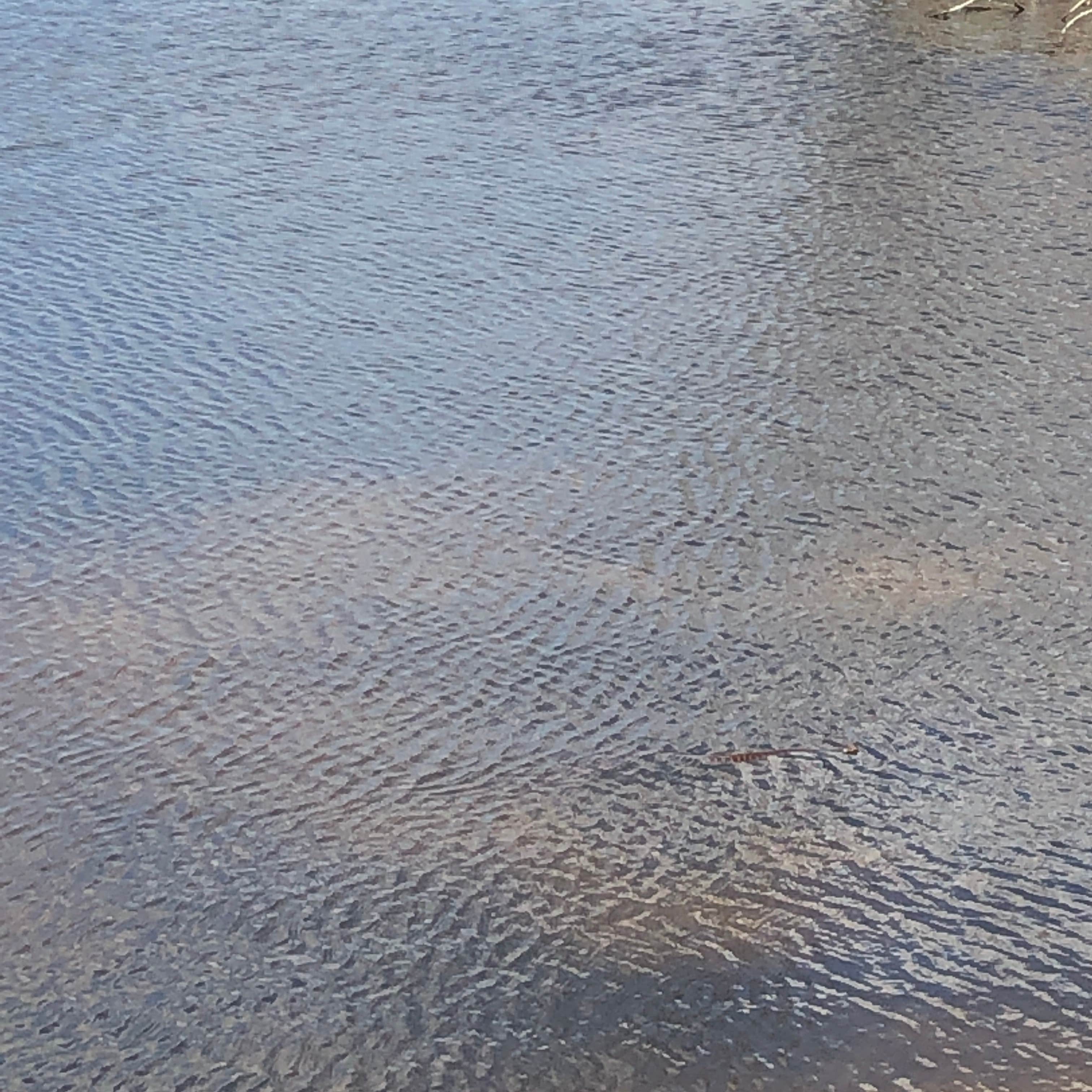 Mauthe Lake Campground — Kettle Moraine State Forest-Northern Unit ...