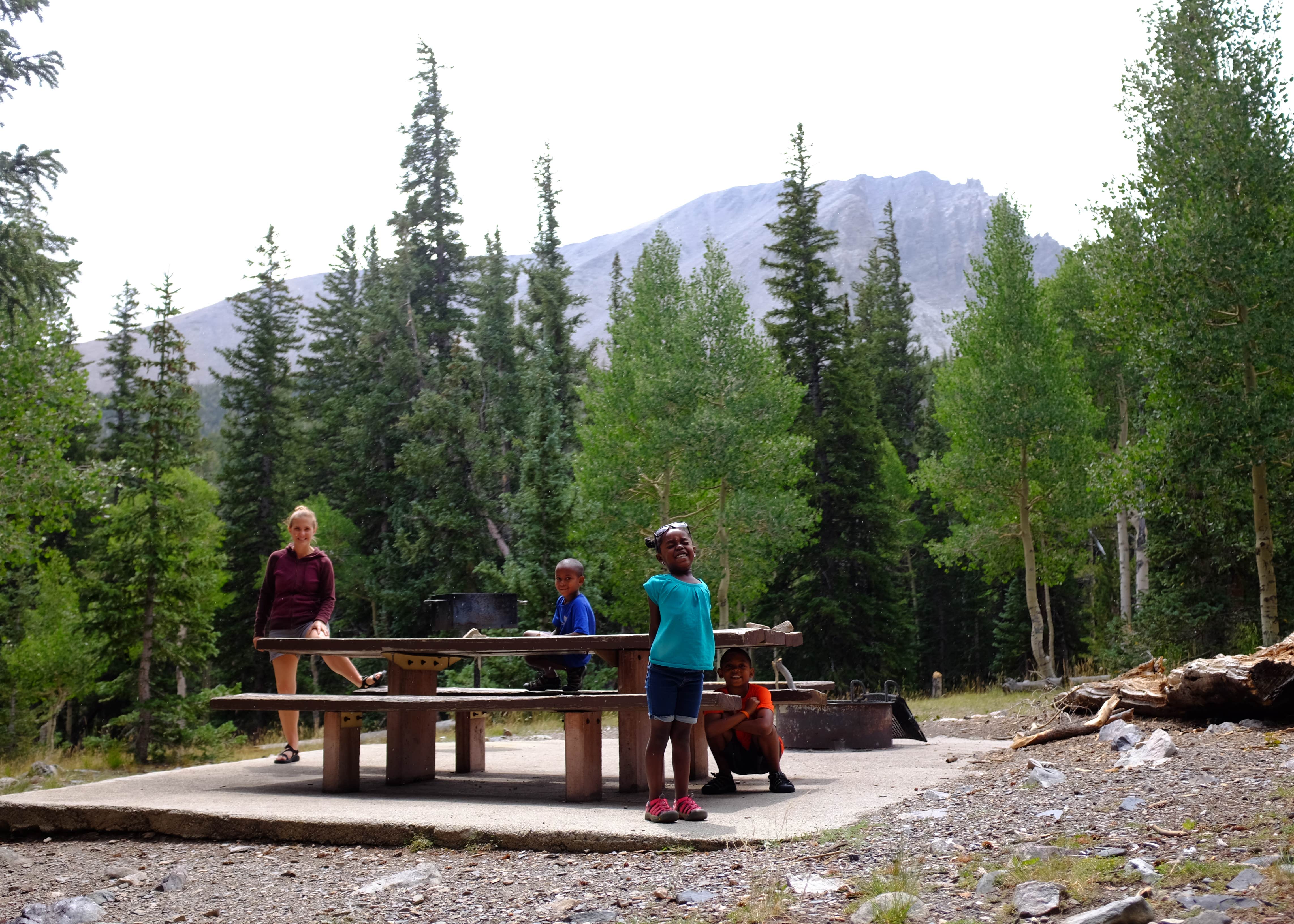 Wheeler Peak Campground Camping | The Dyrt