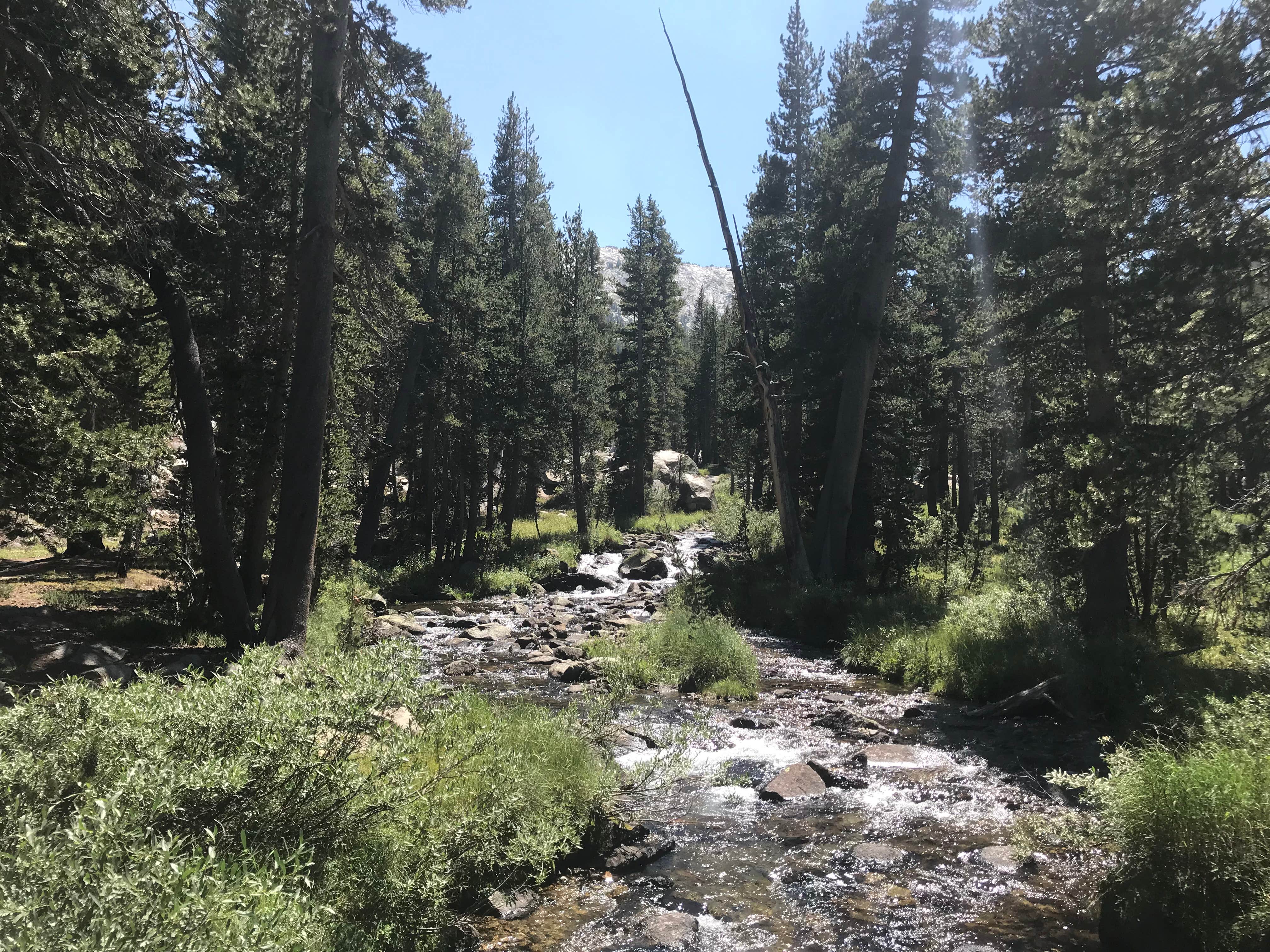 Best Tent Camping near Yosemite National Park