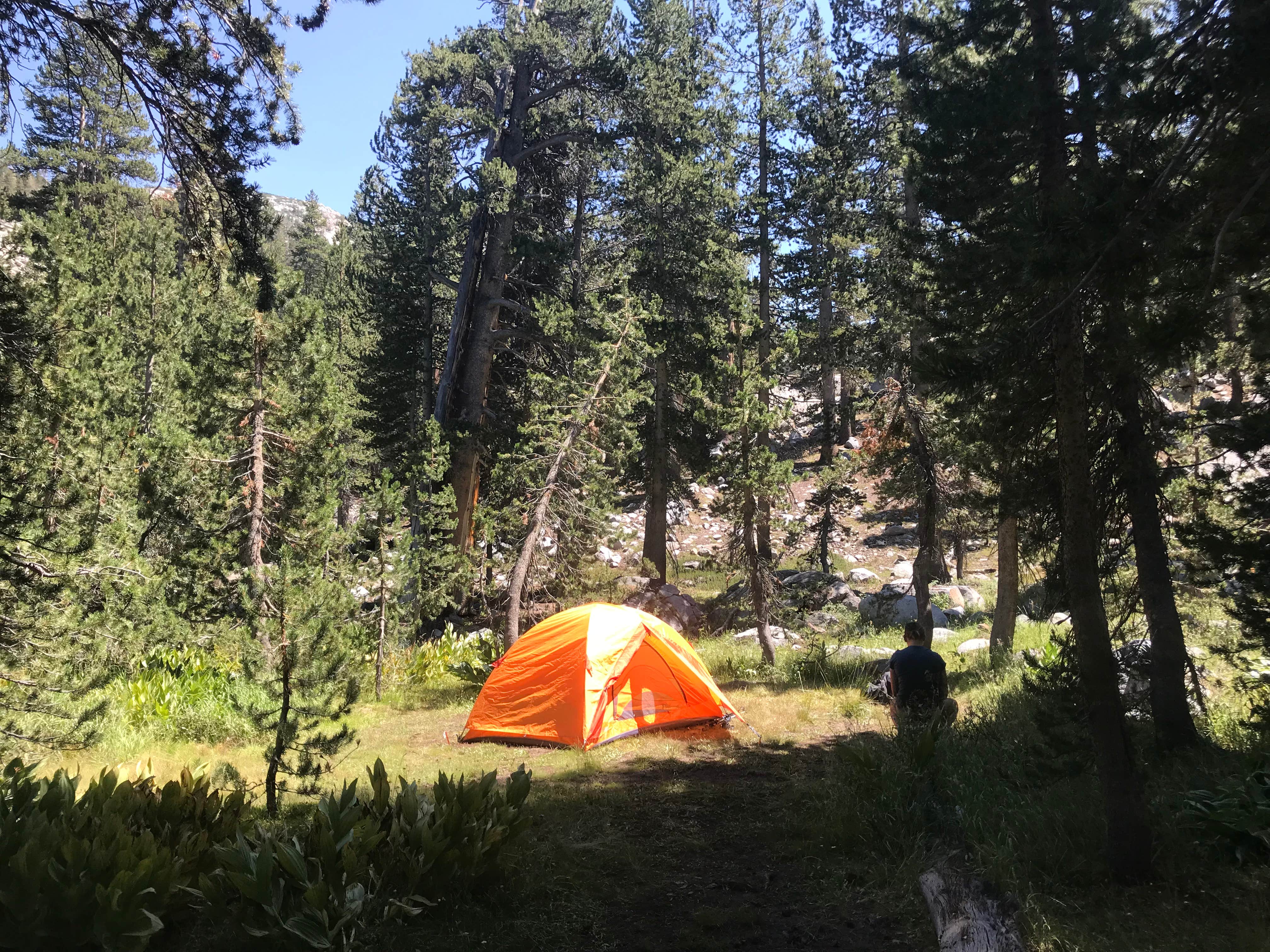 Best Tent Camping near Yosemite National Park