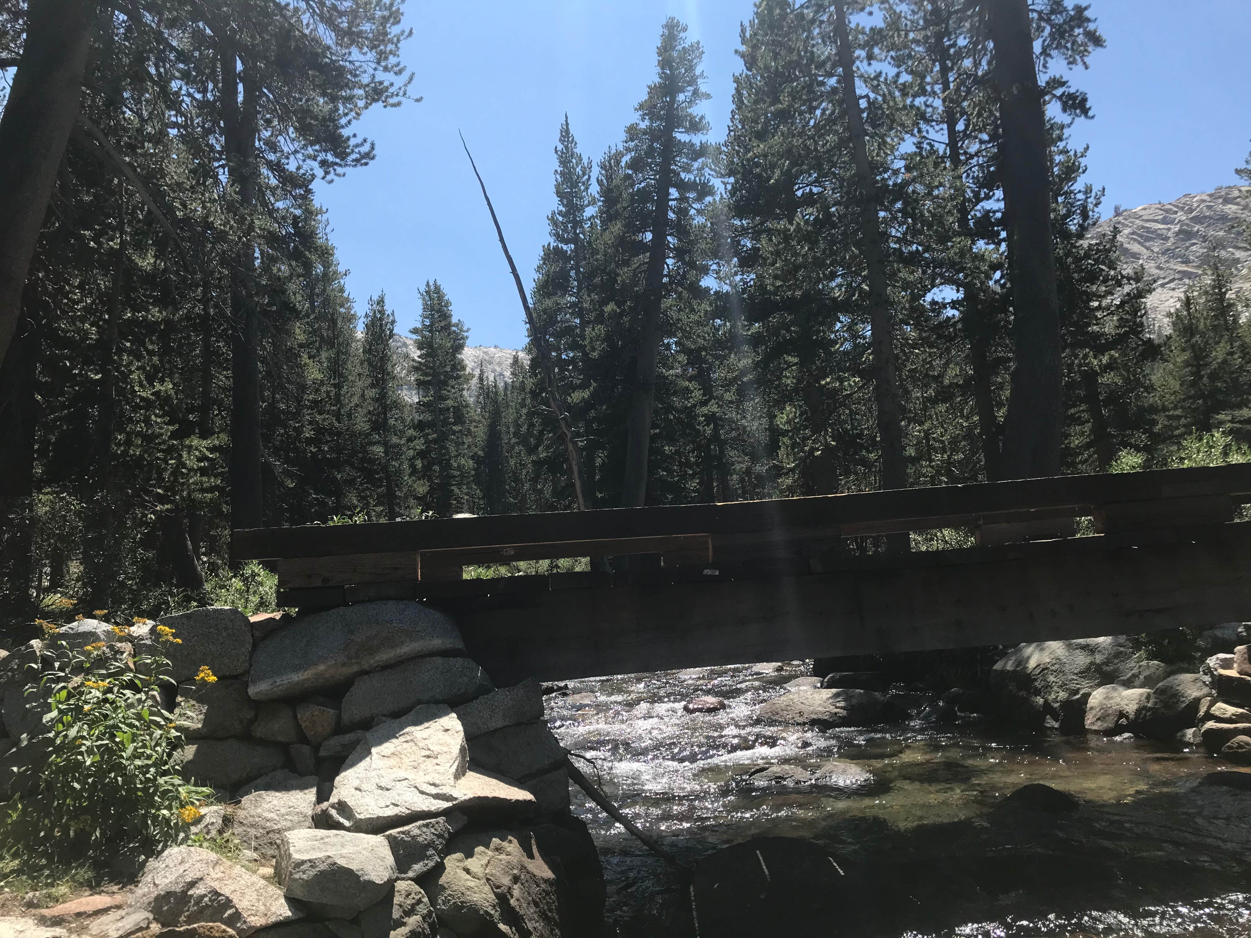 Best Tent Camping near Yosemite National Park