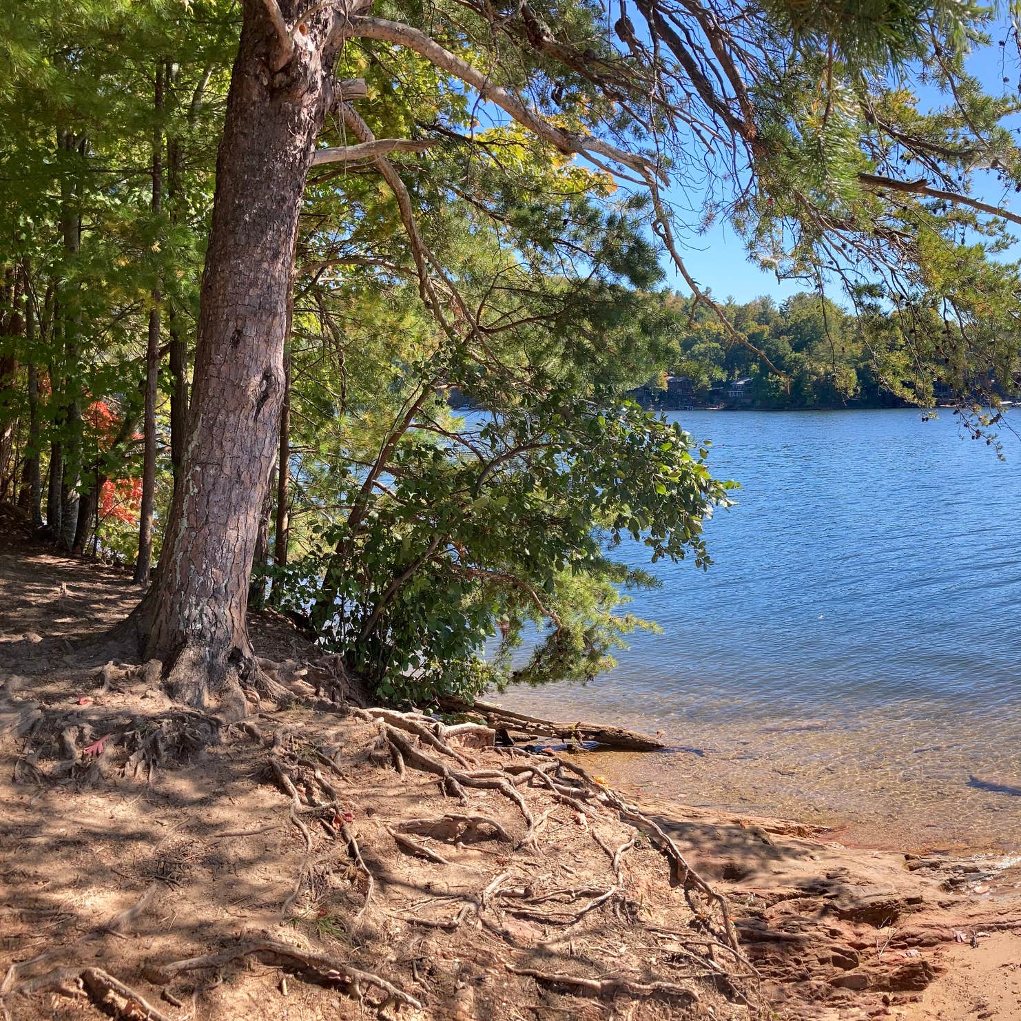 Cheoah Point Campground | Robbinsville, NC