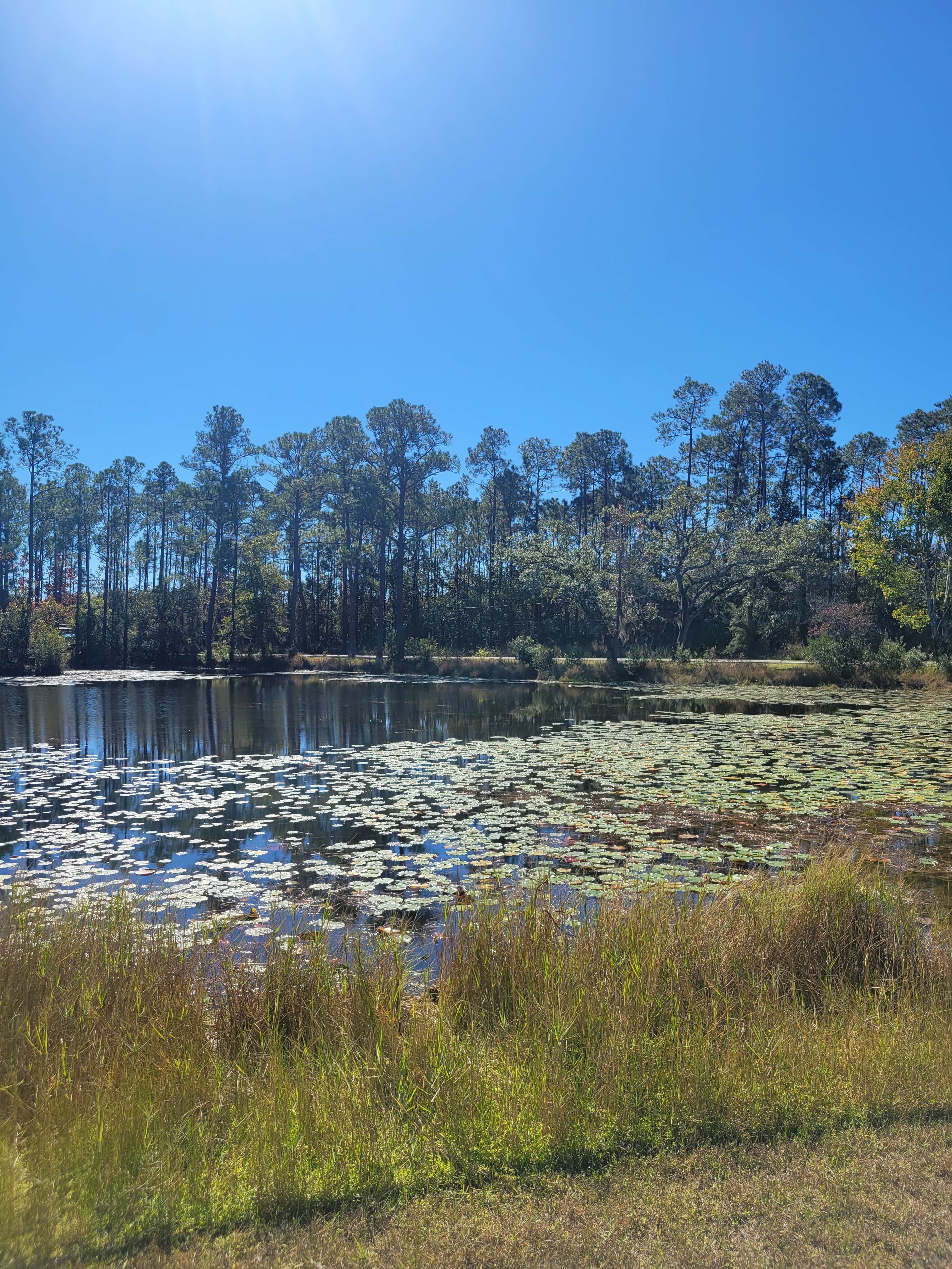 Magic River Campground | Long Beach, MS