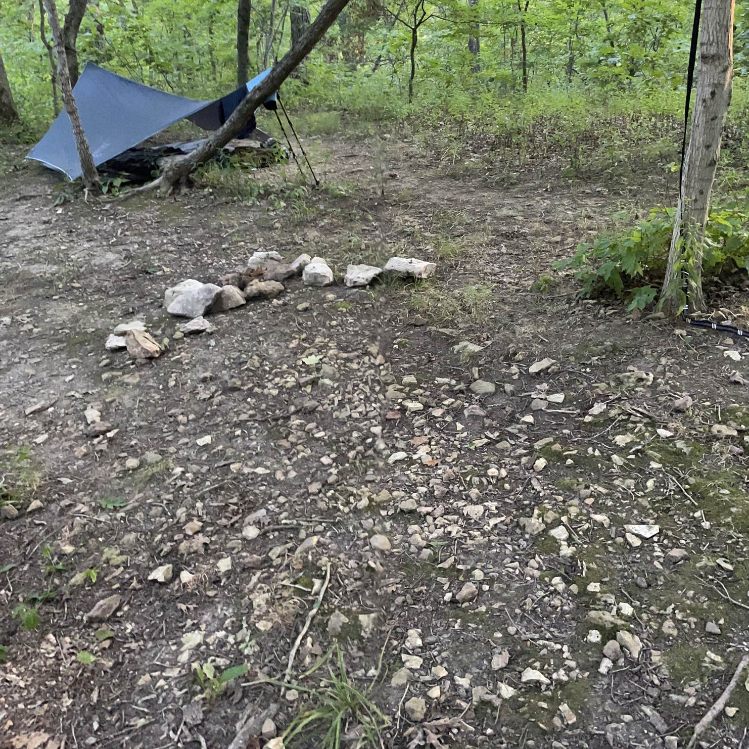 Lone Spring Trail Backpacking Campsite(s) | Silex, MO
