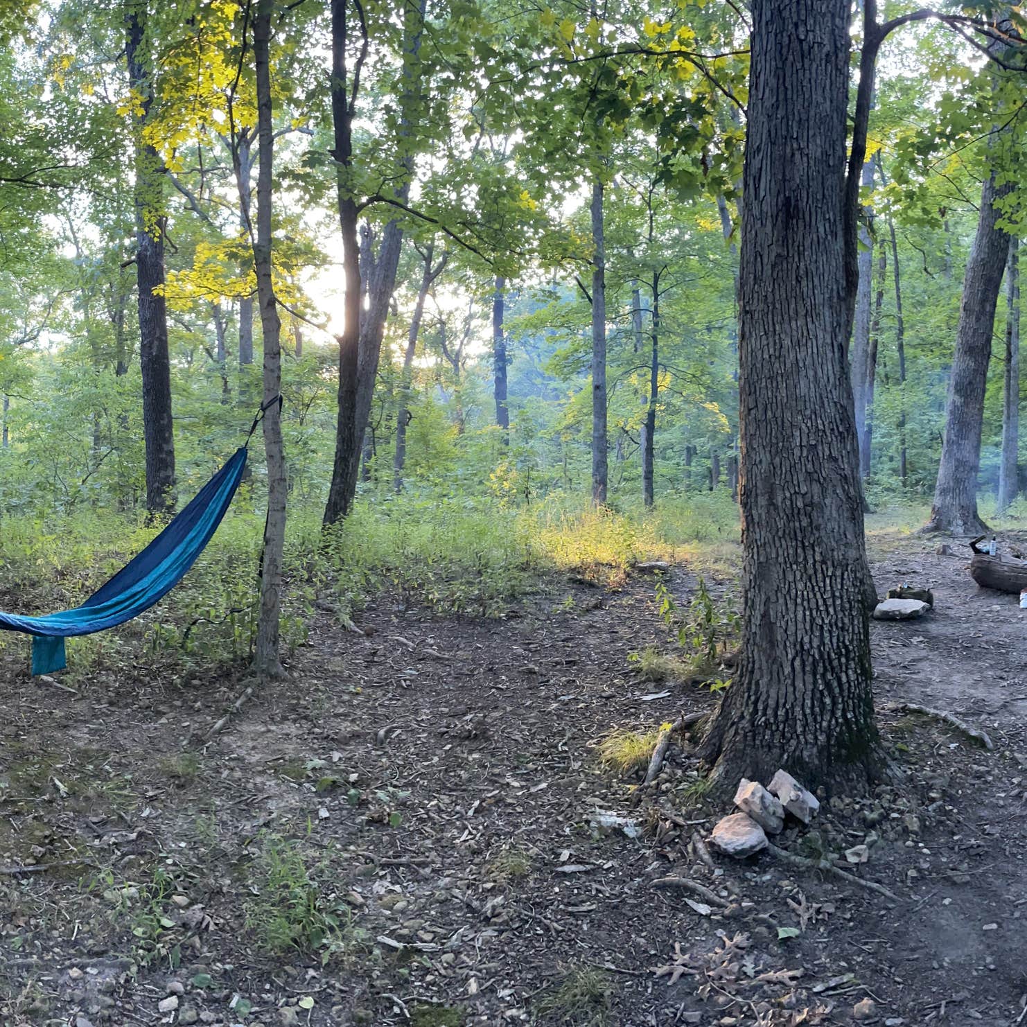 Lone Spring Trail Backpacking Campsite(s) | Silex, MO