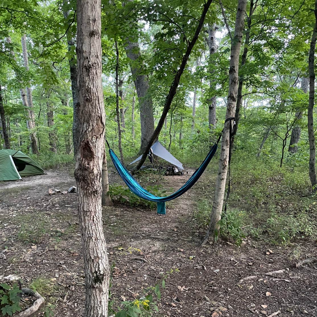 Lone Spring Trail Backpacking Campsite(s) | Troy, Missouri