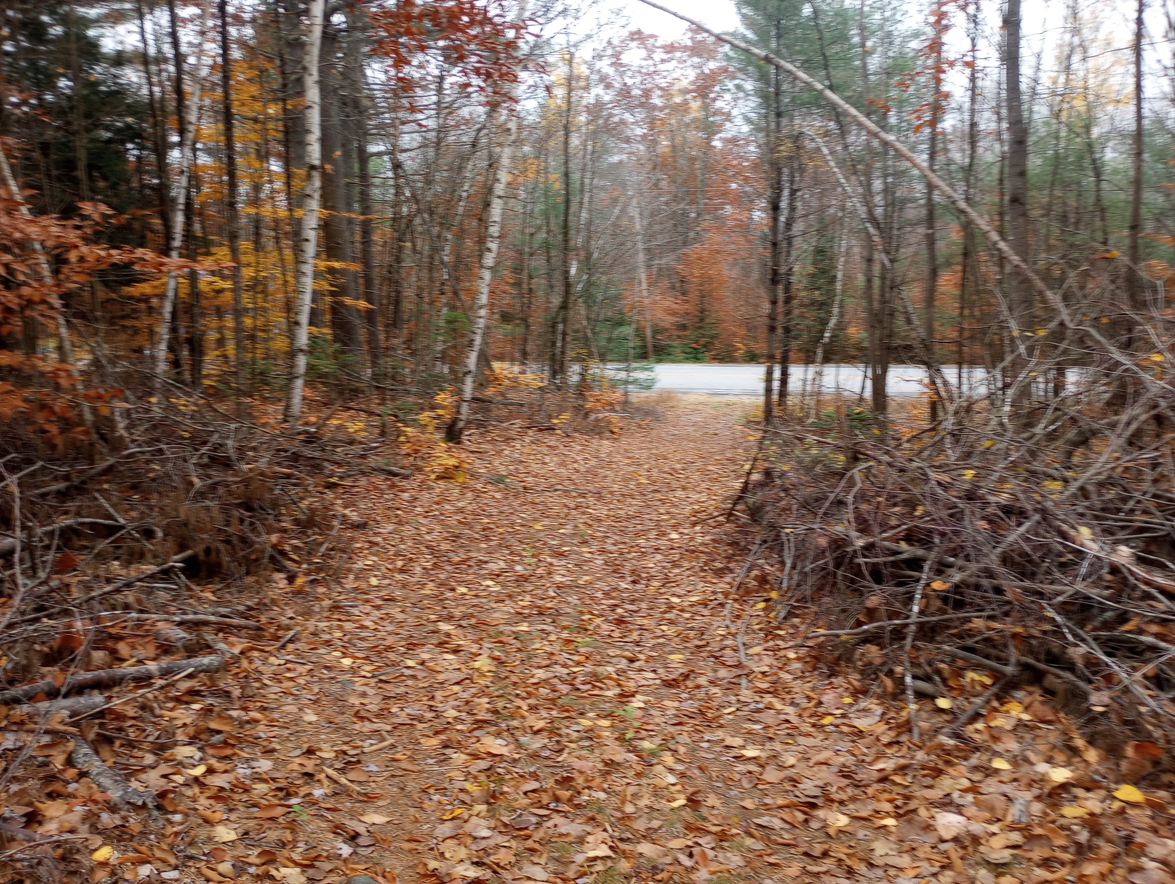 Spruce Ranch Camping | Jay, ME