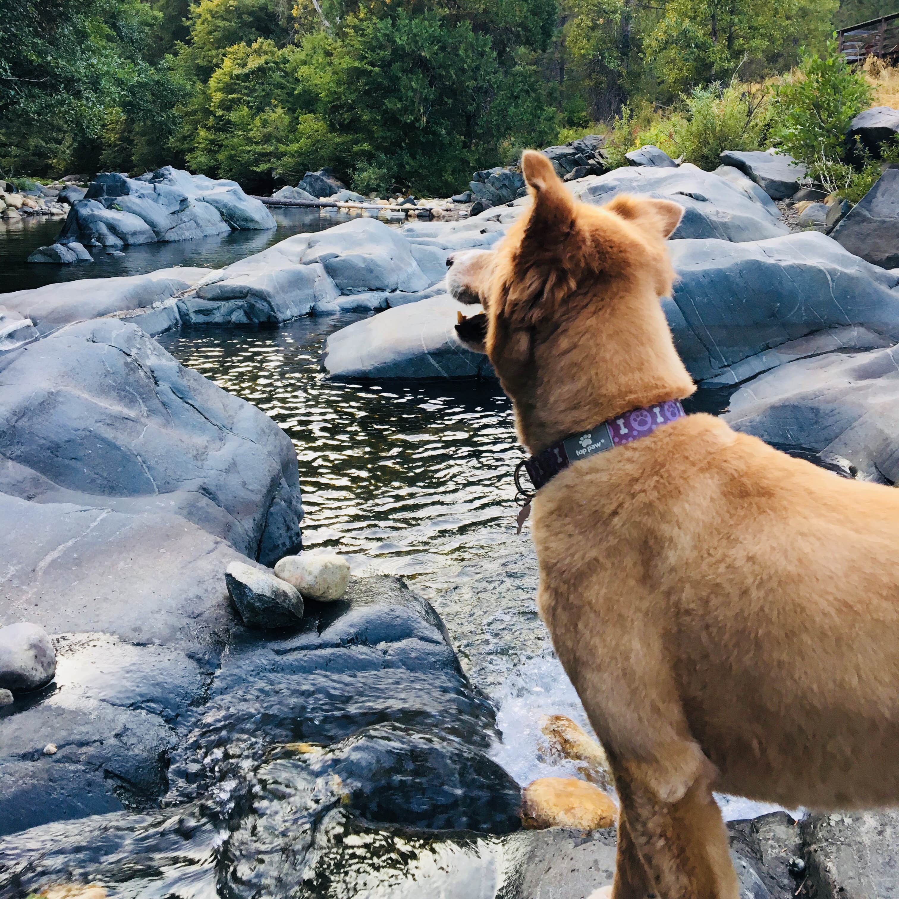 Pipi Campground Camping | The Dyrt