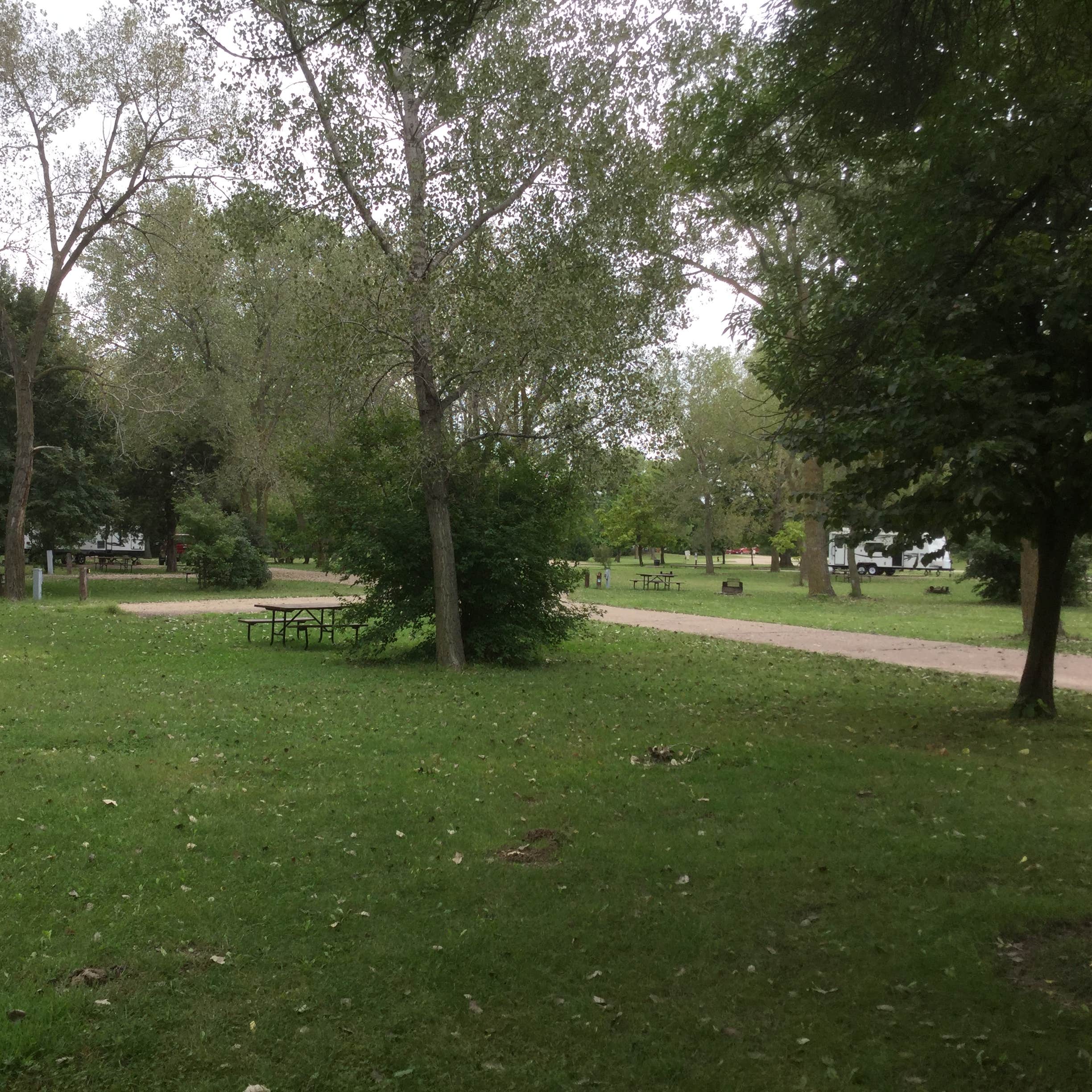 Mormon Island State Recreation Area Camping | The Dyrt