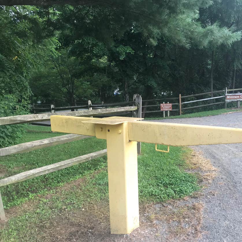 Millrace Campground — New River Trail State Park | Austinville, Virginia
