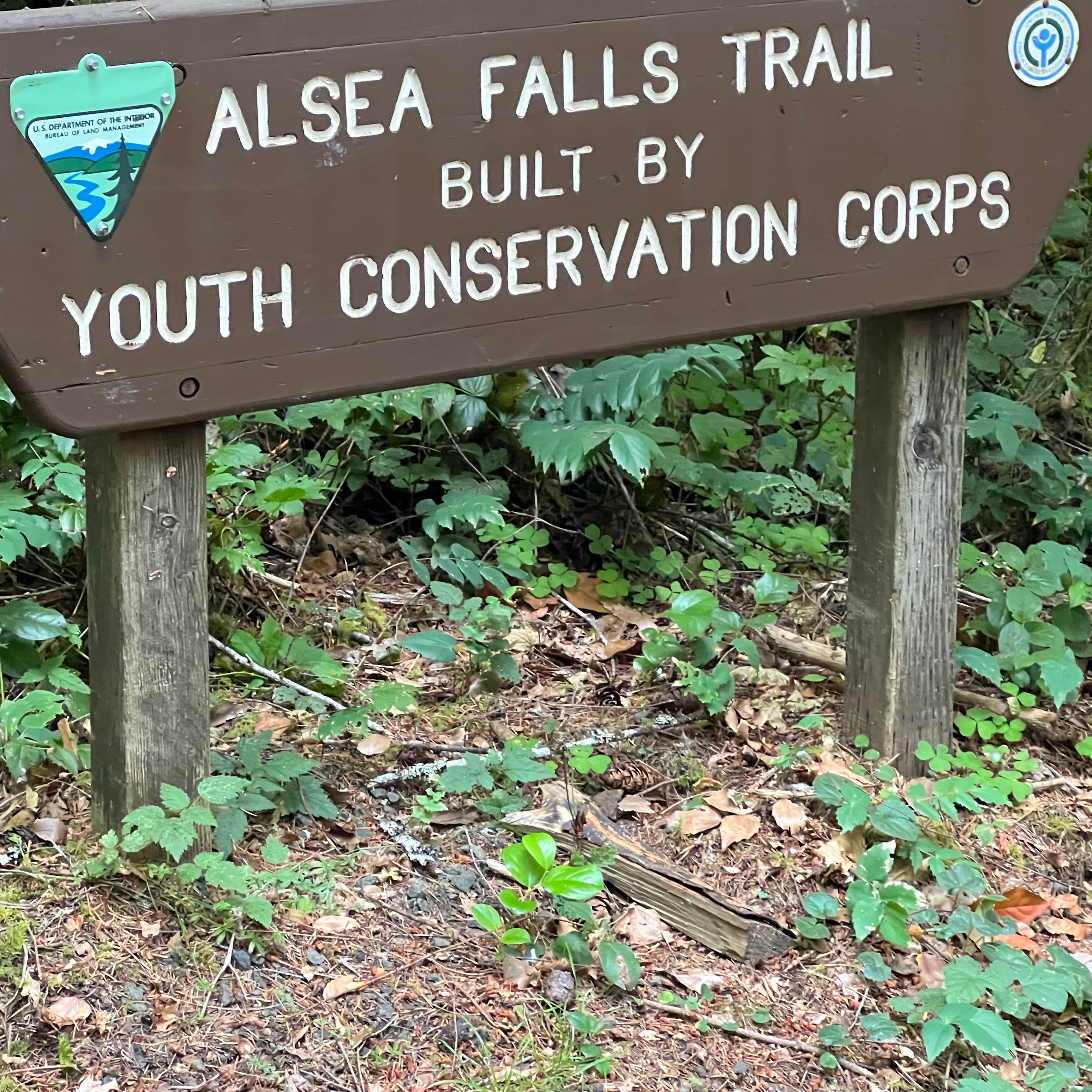 Alsea Falls Recreation Site (campground) | Alsea, Oregon