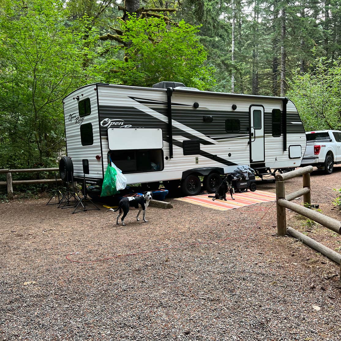 Alsea Falls Recreation Site (campground) | Alsea, OR