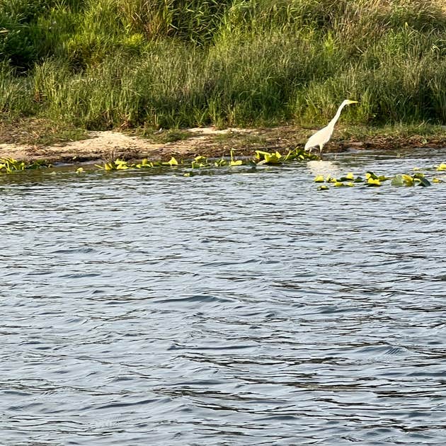 Osprey Point RV Resort | Lakeside, Oregon