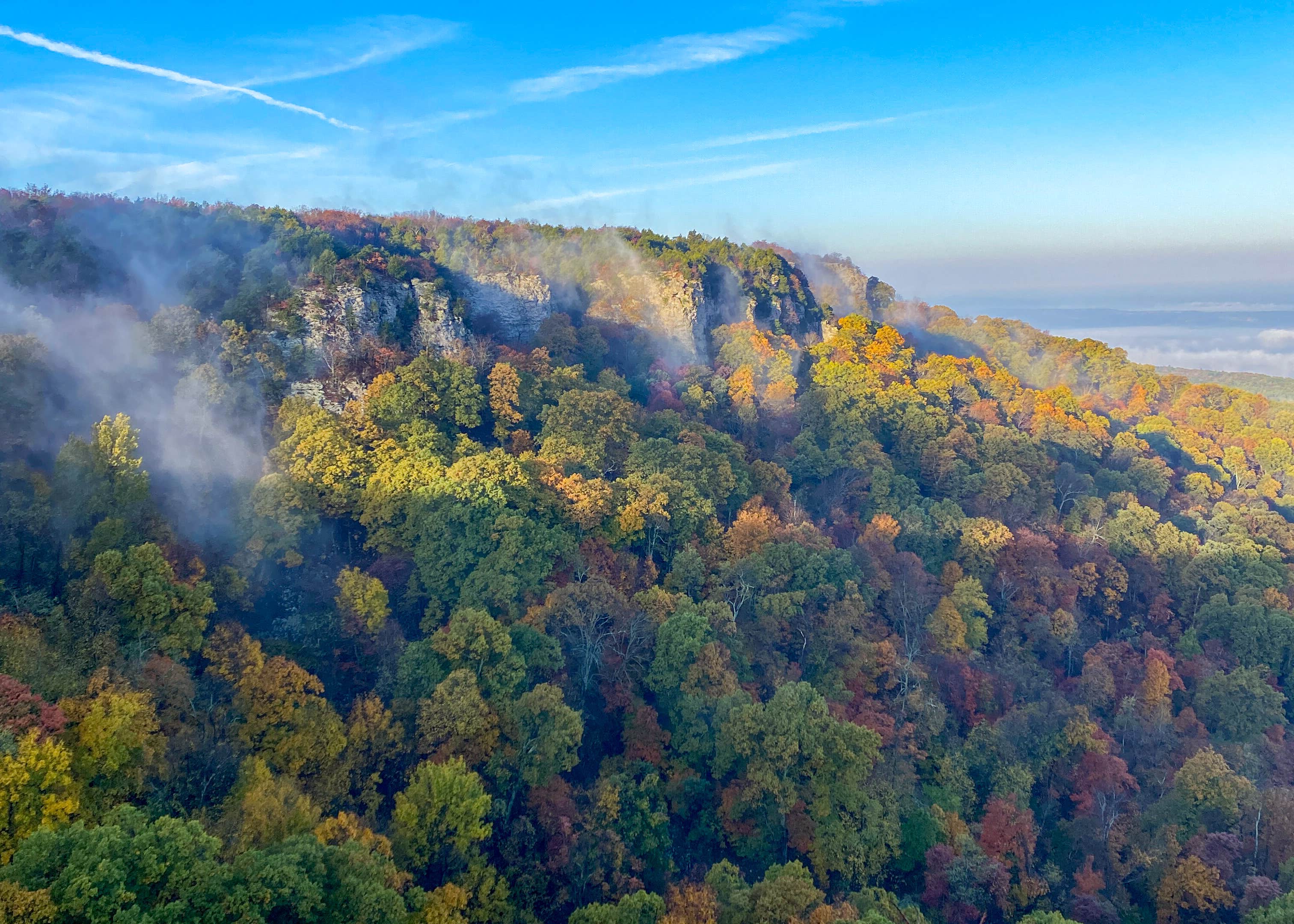 Cameron Bluff Camping | The Dyrt