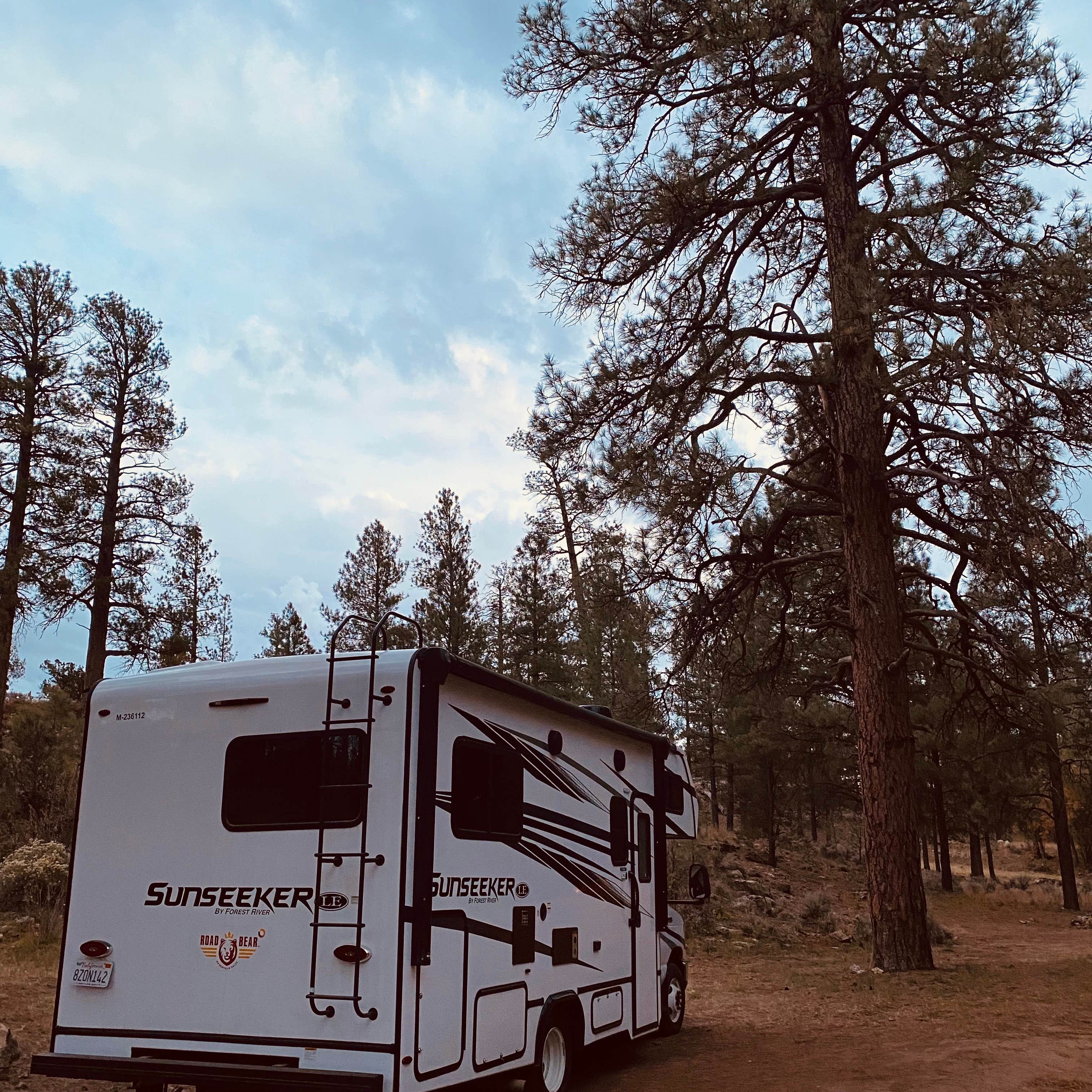 Long Jim Loop Camping | The Dyrt