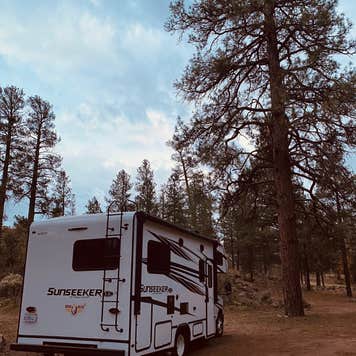 Long Jim Loop Camping | The Dyrt