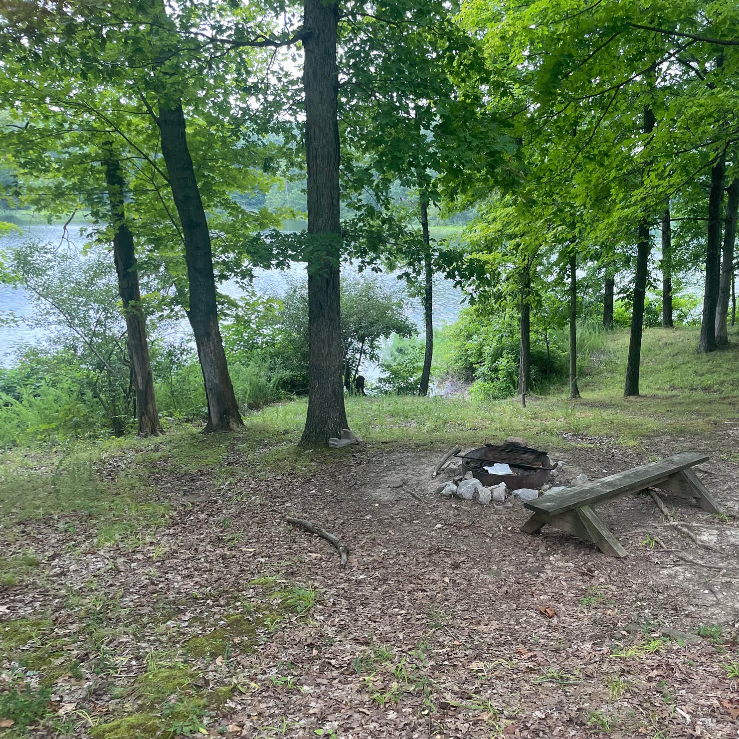 Little Grassy Lake Campground | Carbondale, IL