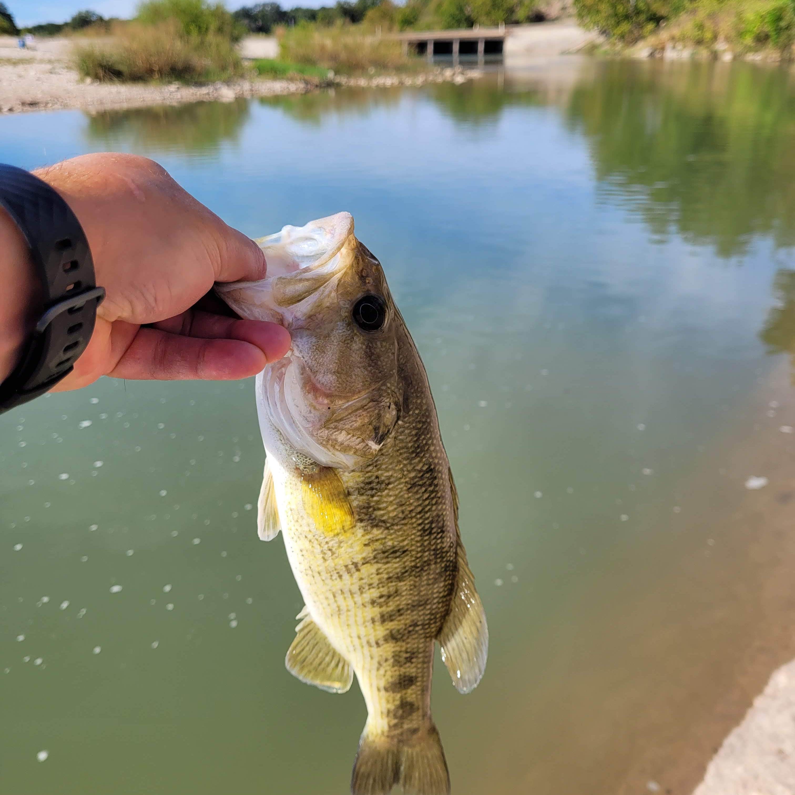 Dos Rios RV Park Camping | The Dyrt