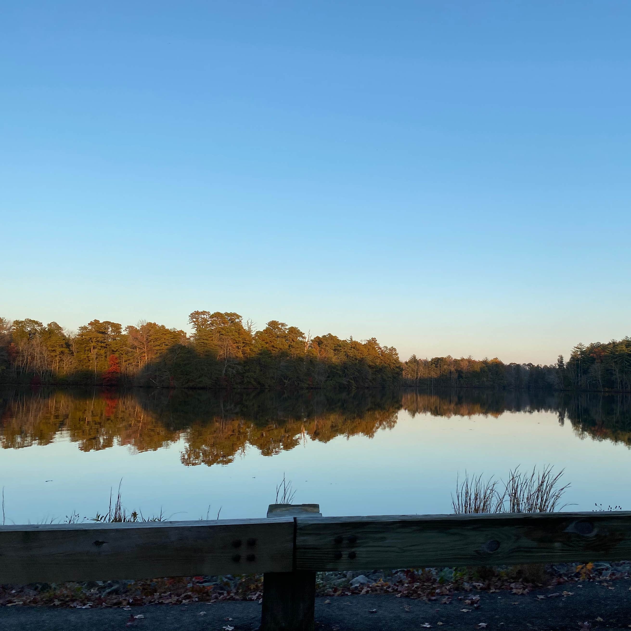 Belleplain State Forest Camping | The Dyrt