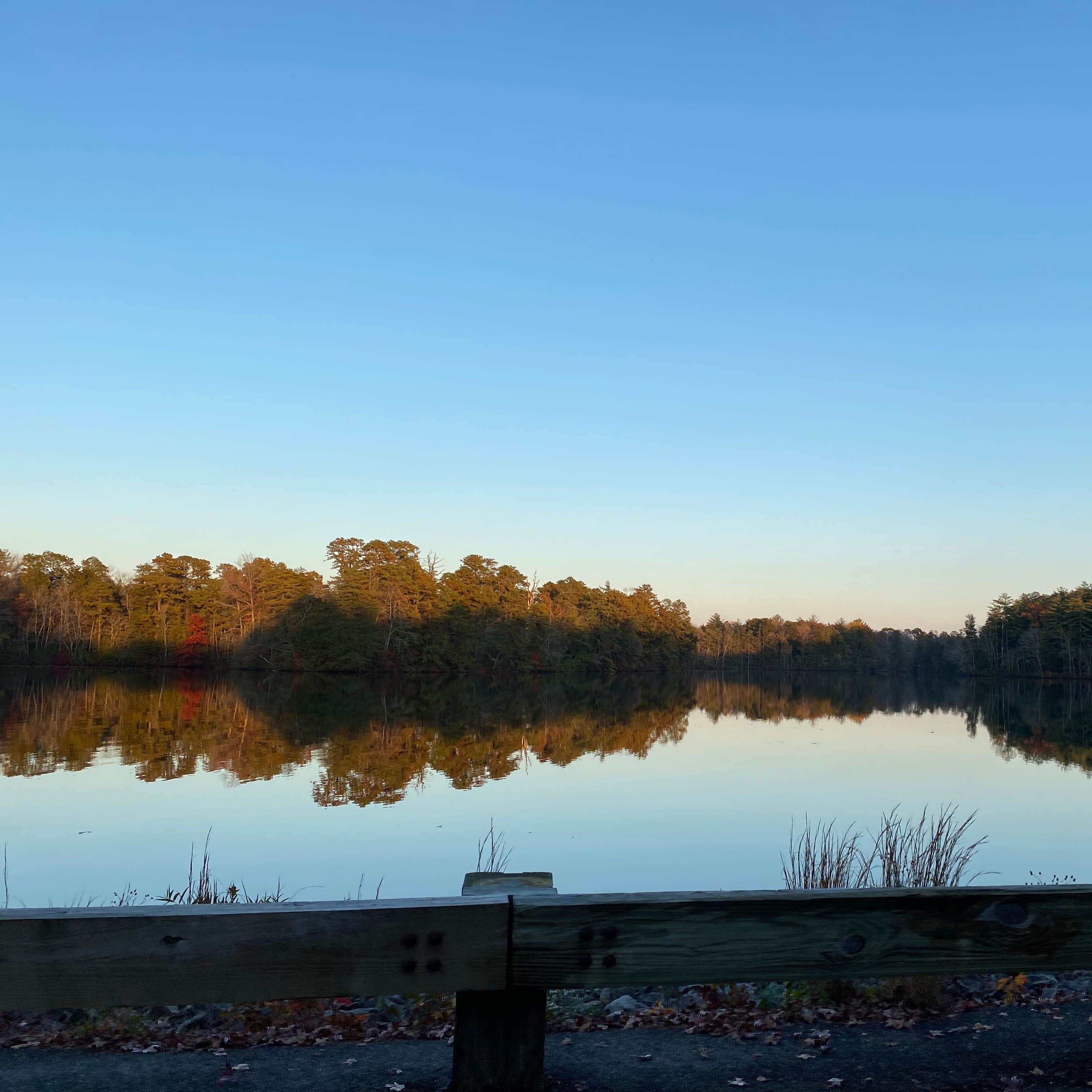 Belleplain State Forest Camping | The Dyrt