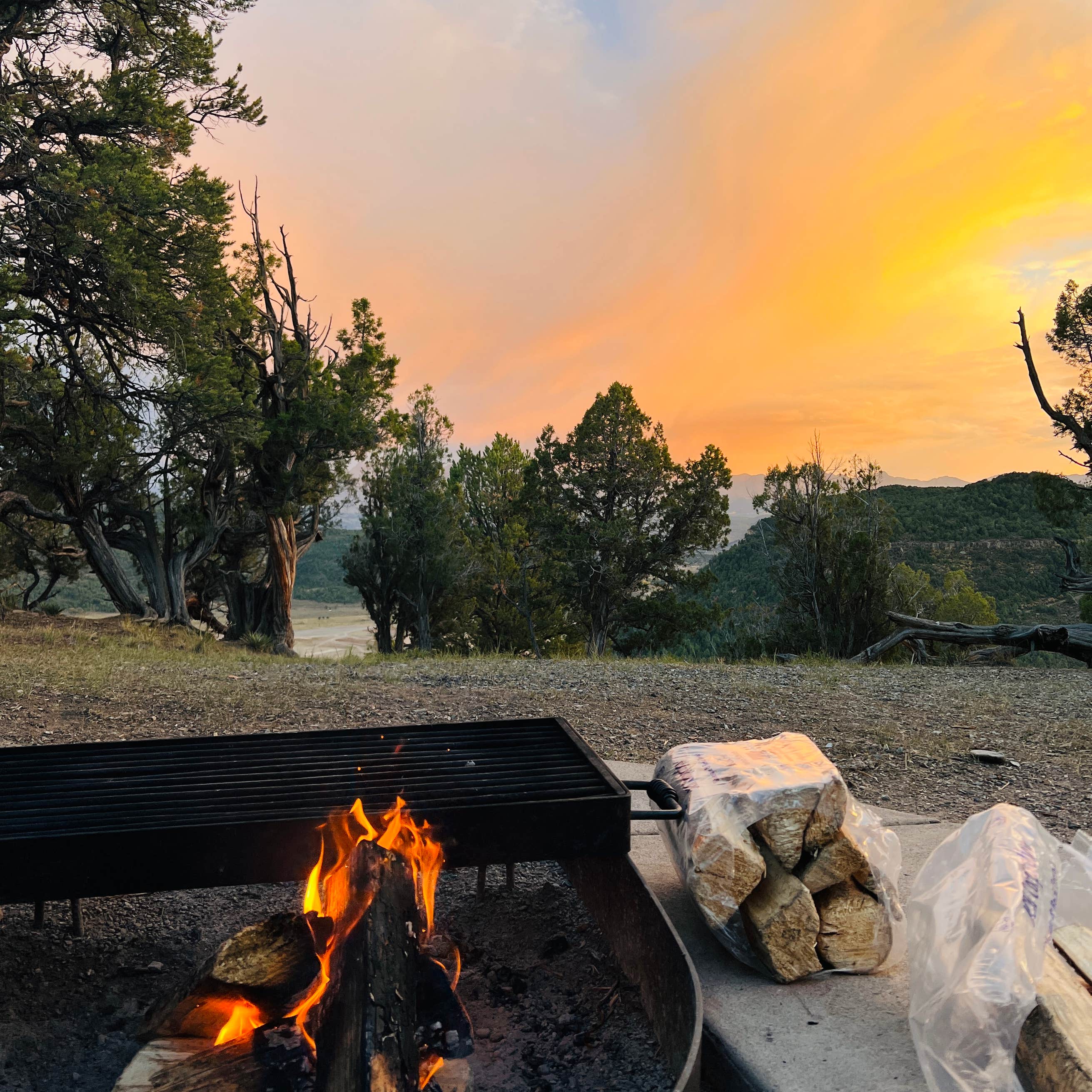 Elk Ridge Campground — Ridgway State Park | Ridgway, Colorado