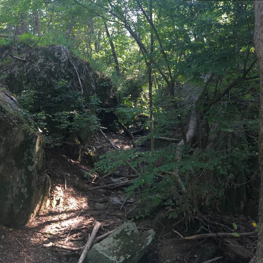 Lake Fairfax Campground Camping | The Dyrt