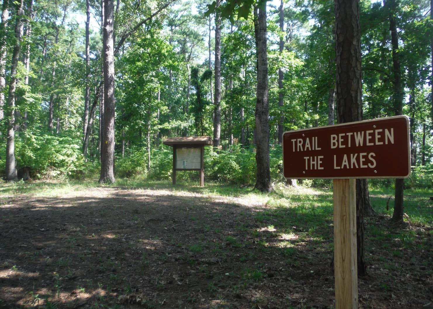 Lakeview Campground Sabine NF Camping | The Dyrt