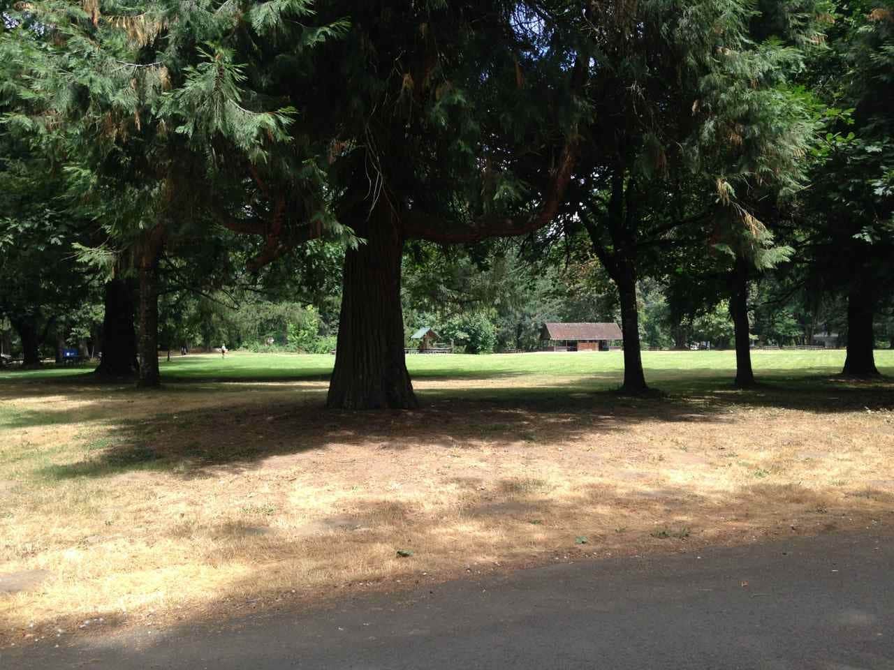 Armitage Park & Campground - a Lane County Park | Eugene, OR