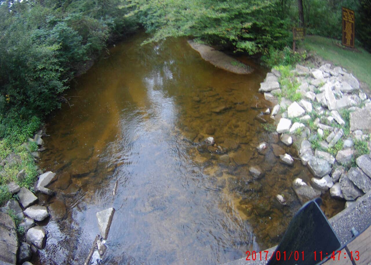 Bertha Brock County Park Camping | The Dyrt